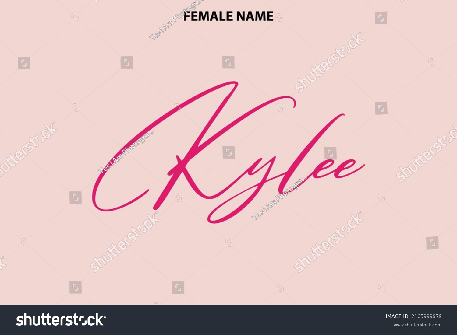 Female Name Kylee Cursive Calligraphic Text Stock Vector (Royalty Free ...