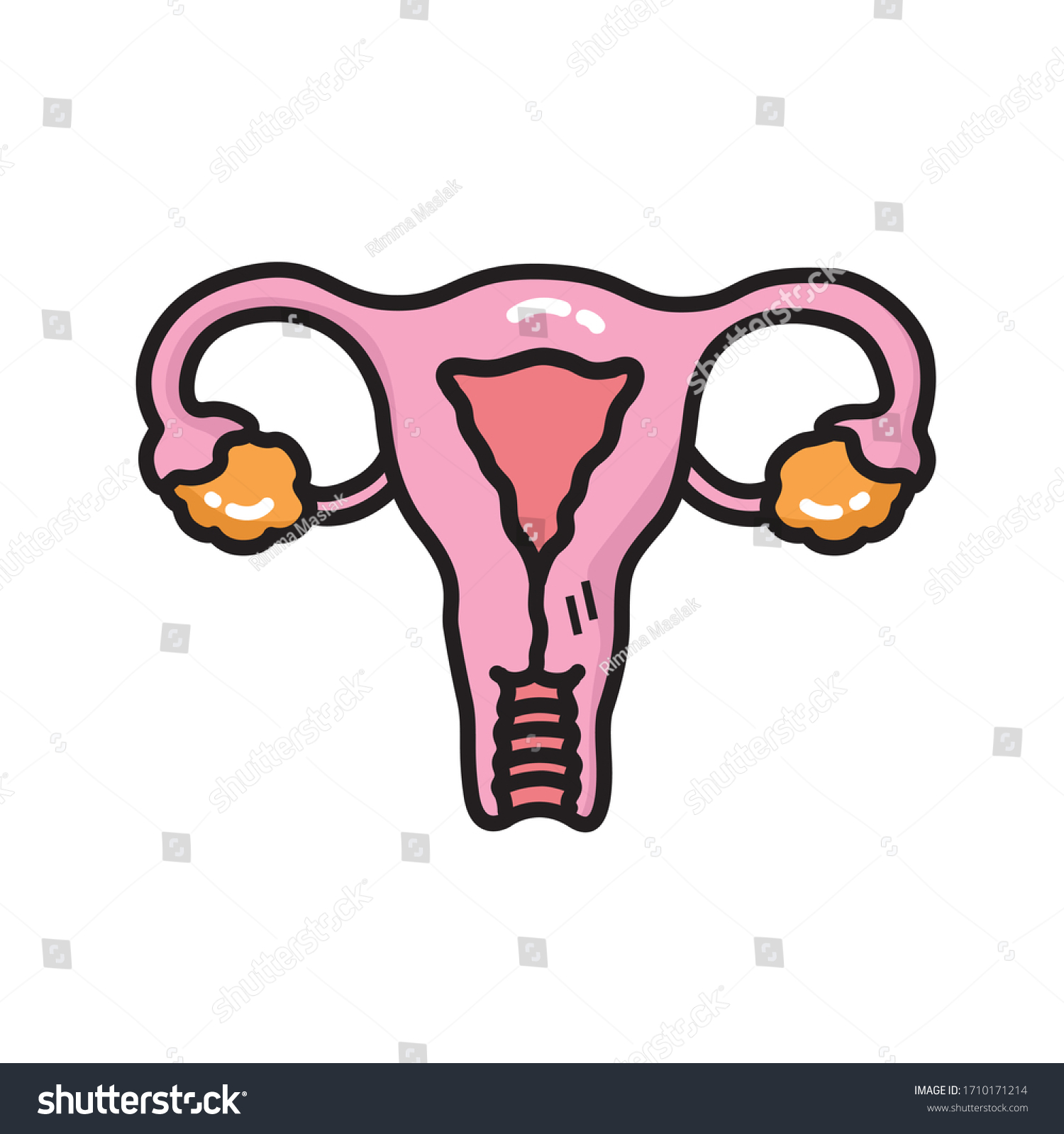 Female Reproductive System Vector Illustration เวกเตอร์สต็อก ปลอดค่า
