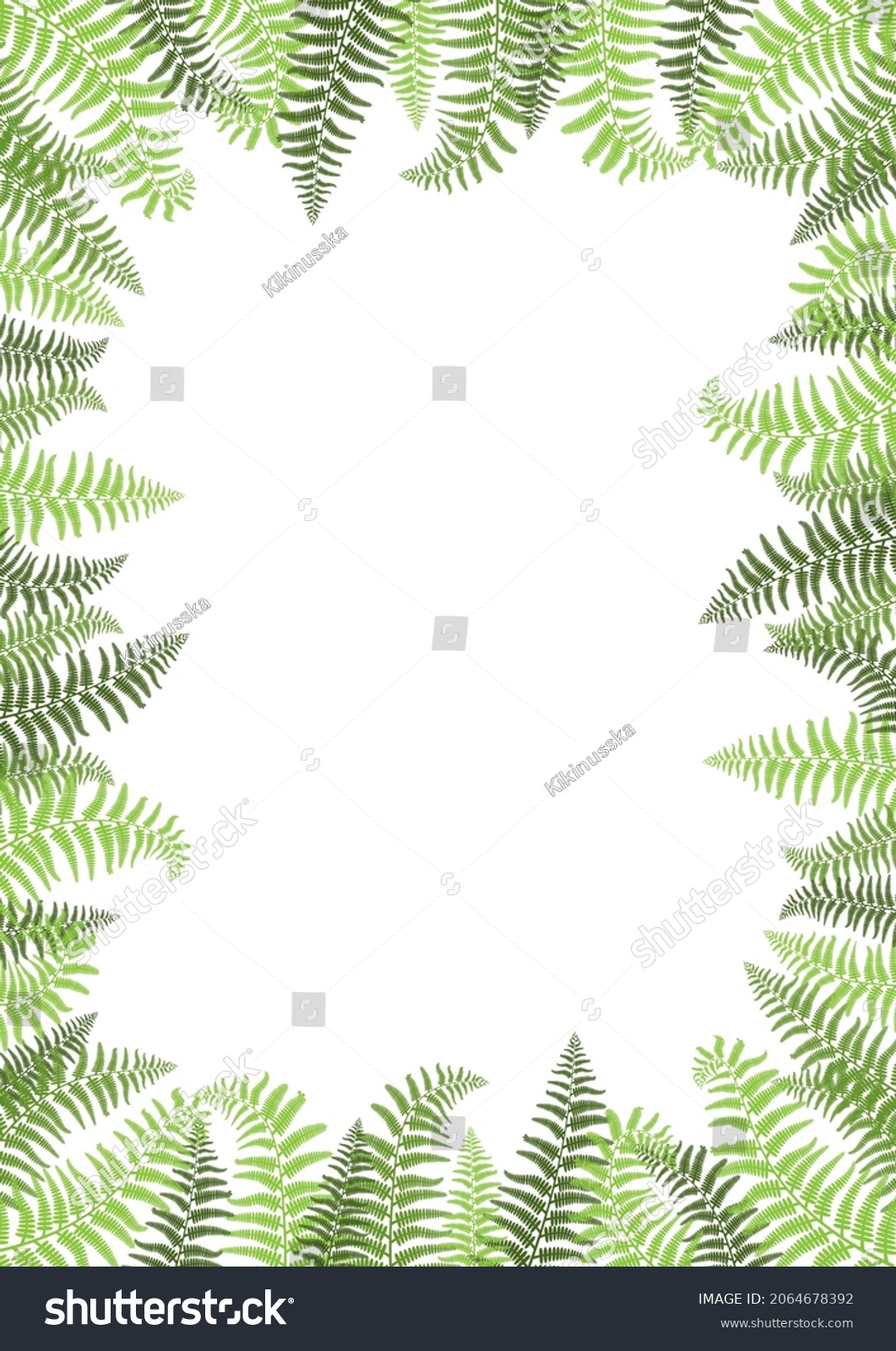 Fern Rectangular Frame Vector Illustration Isolated Stock Vector ...