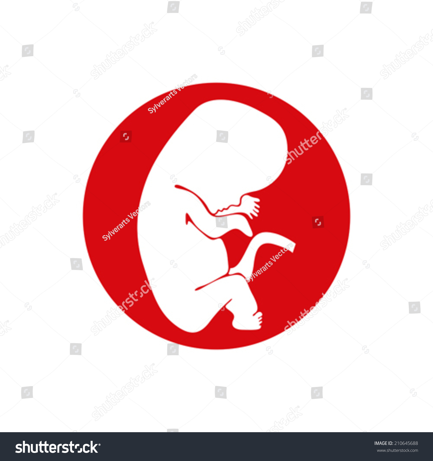 Fetus Vector Icon Isolated Stock Vector (Royalty Free) 210645688
