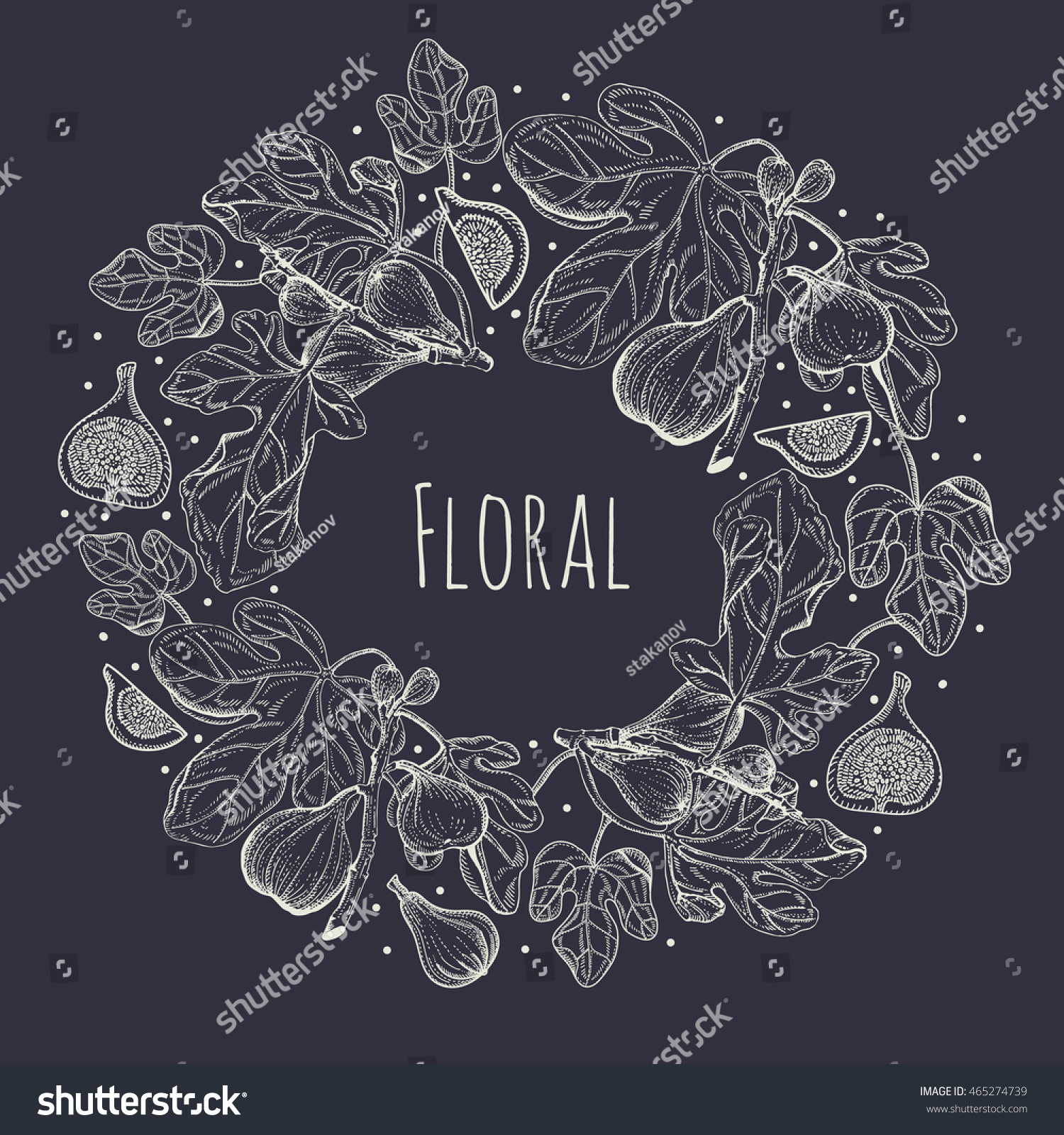 Fig Floral Engraving Round Vector Frame Stock Vector (Royalty Free ...