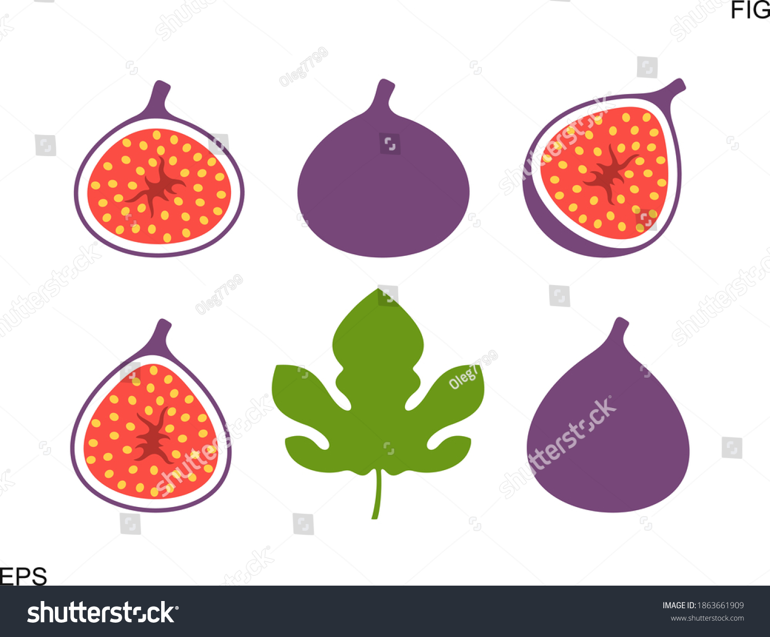 Fig Logo Isolated Fig On White Stock Vector (Royalty Free) 1863661909
