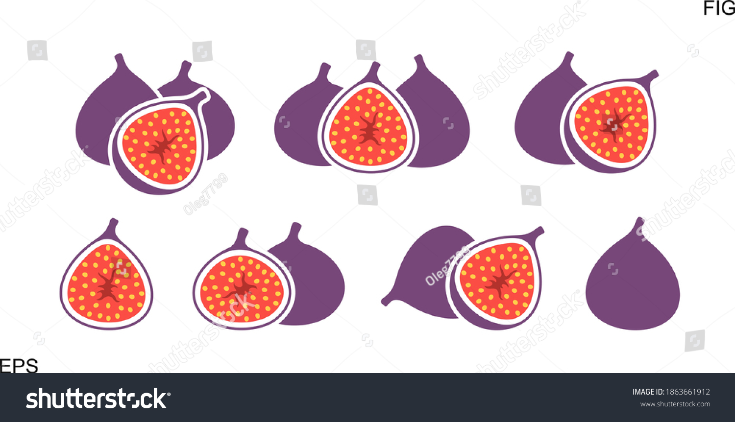 Fig Logo Isolated Fig On White Stock Vector (Royalty Free) 1863661912 ...