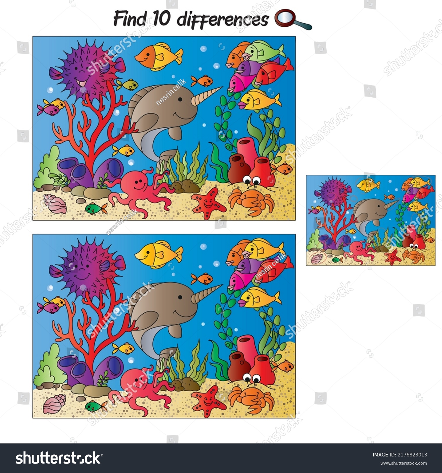 Find 10 Differences Attention Educational Exercises Stock Vector ...