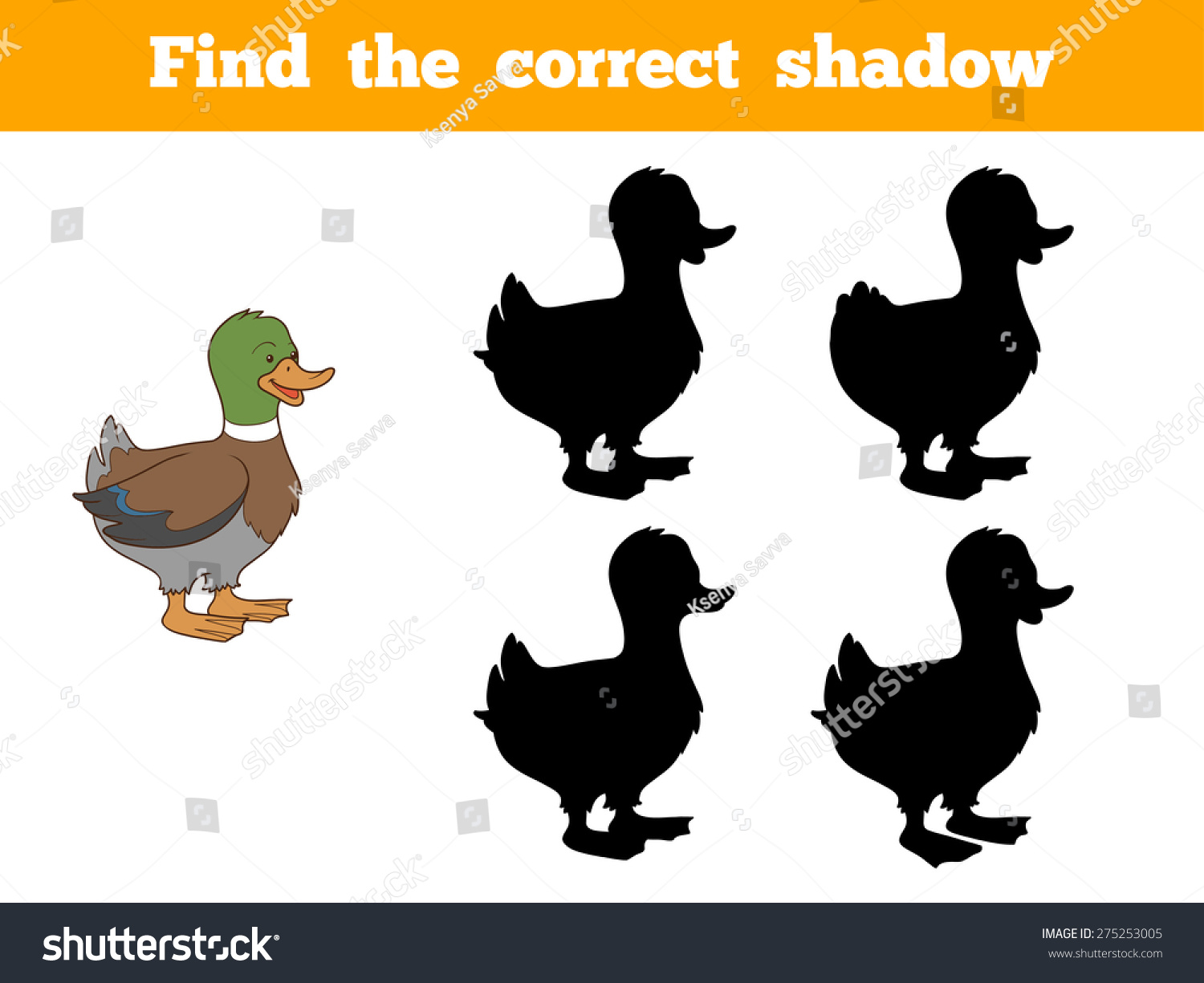 Find Correct Shadow Duck Stock Vector (Royalty Free) 275253005