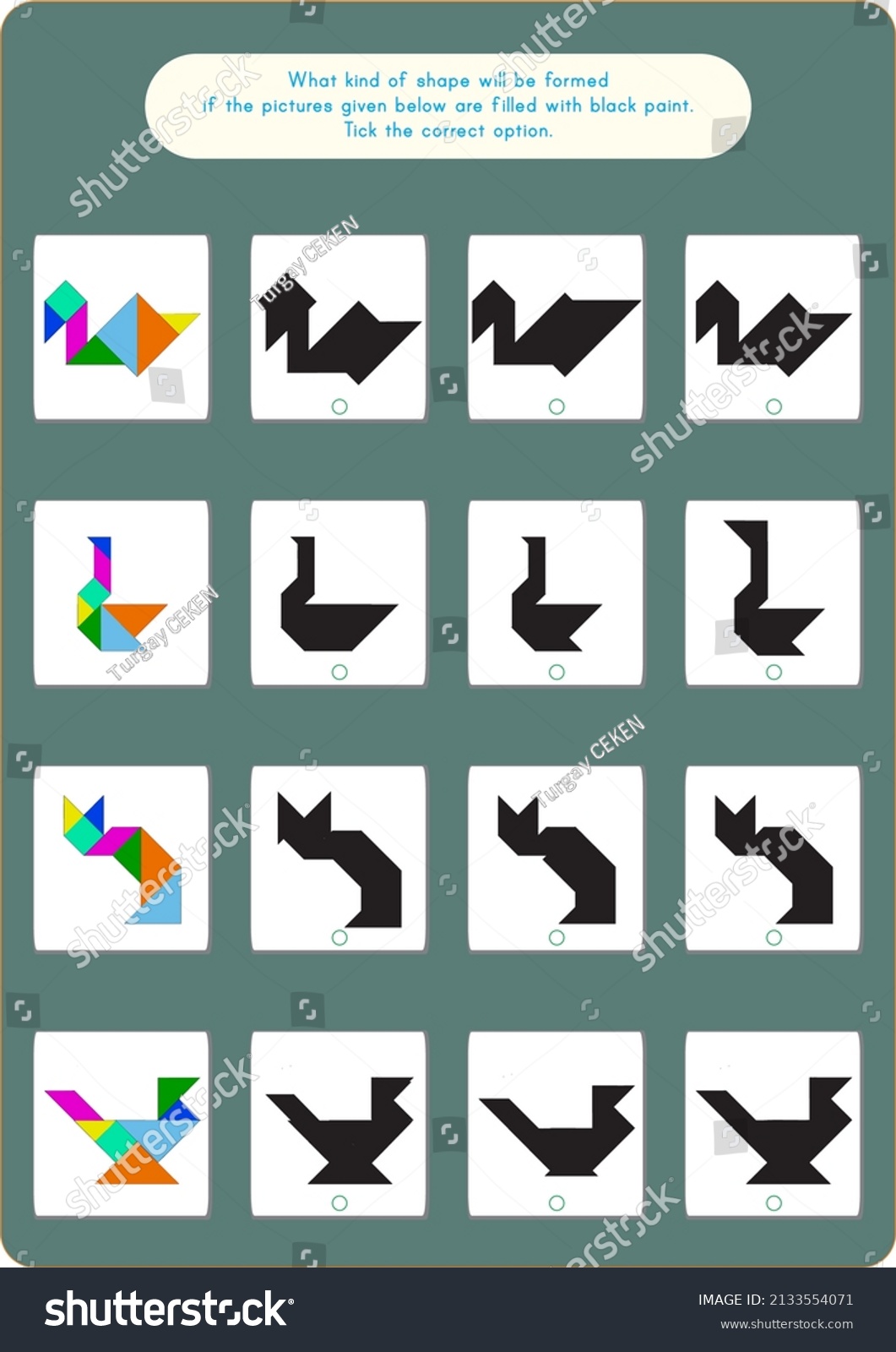 Finding Shadows Objects Stock Vector (Royalty Free) 2133554071 ...
