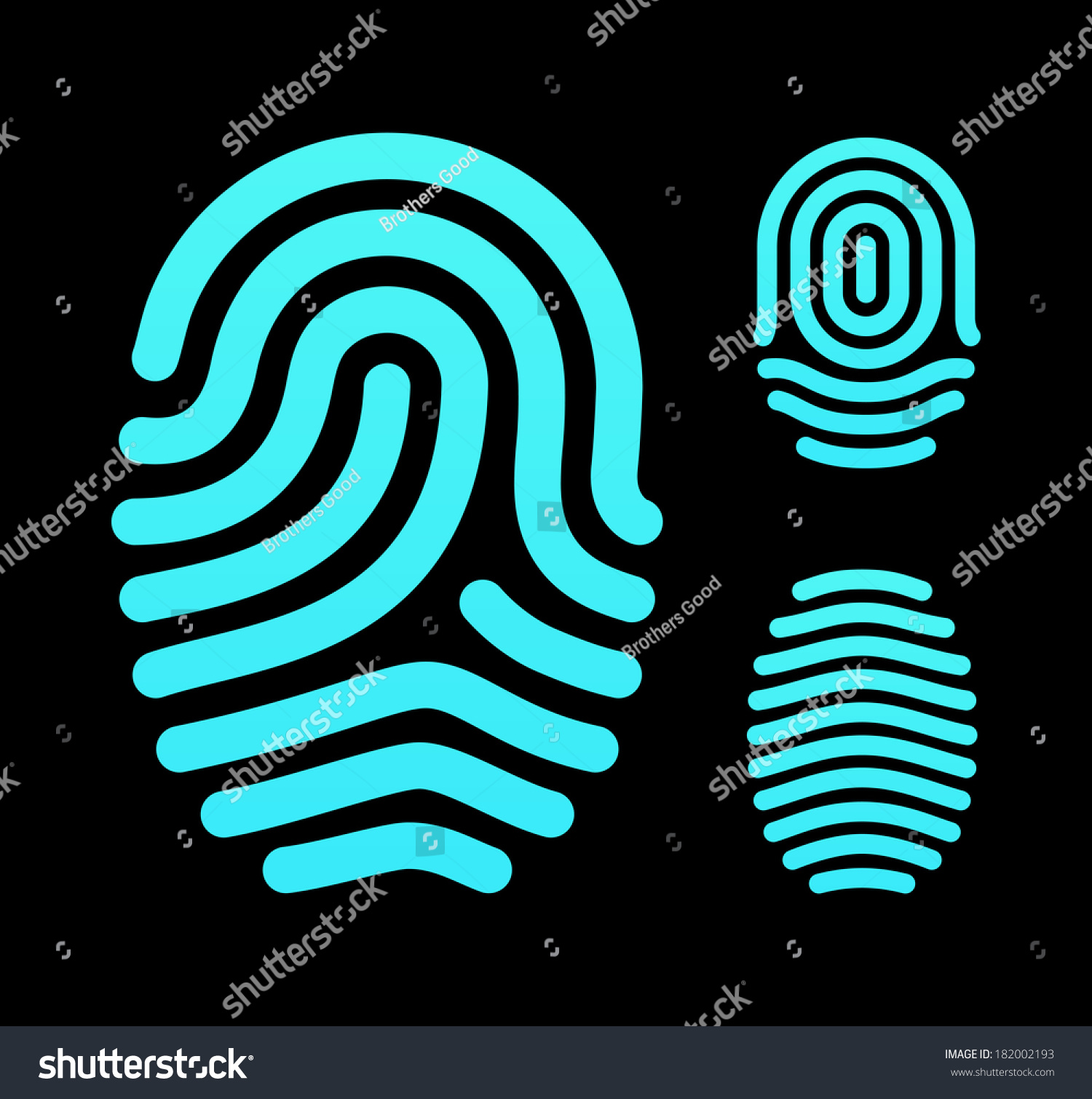Fingerprint Types Loop Whorl Arch Vector: vector de stock (libre de ...