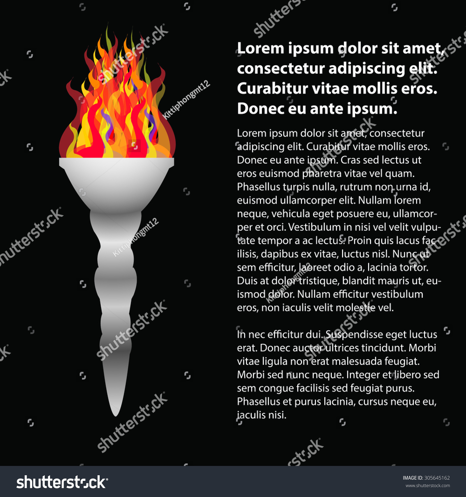 Fire On Torch Backgrounds Stock Vector (Royalty Free) 305645162 ...