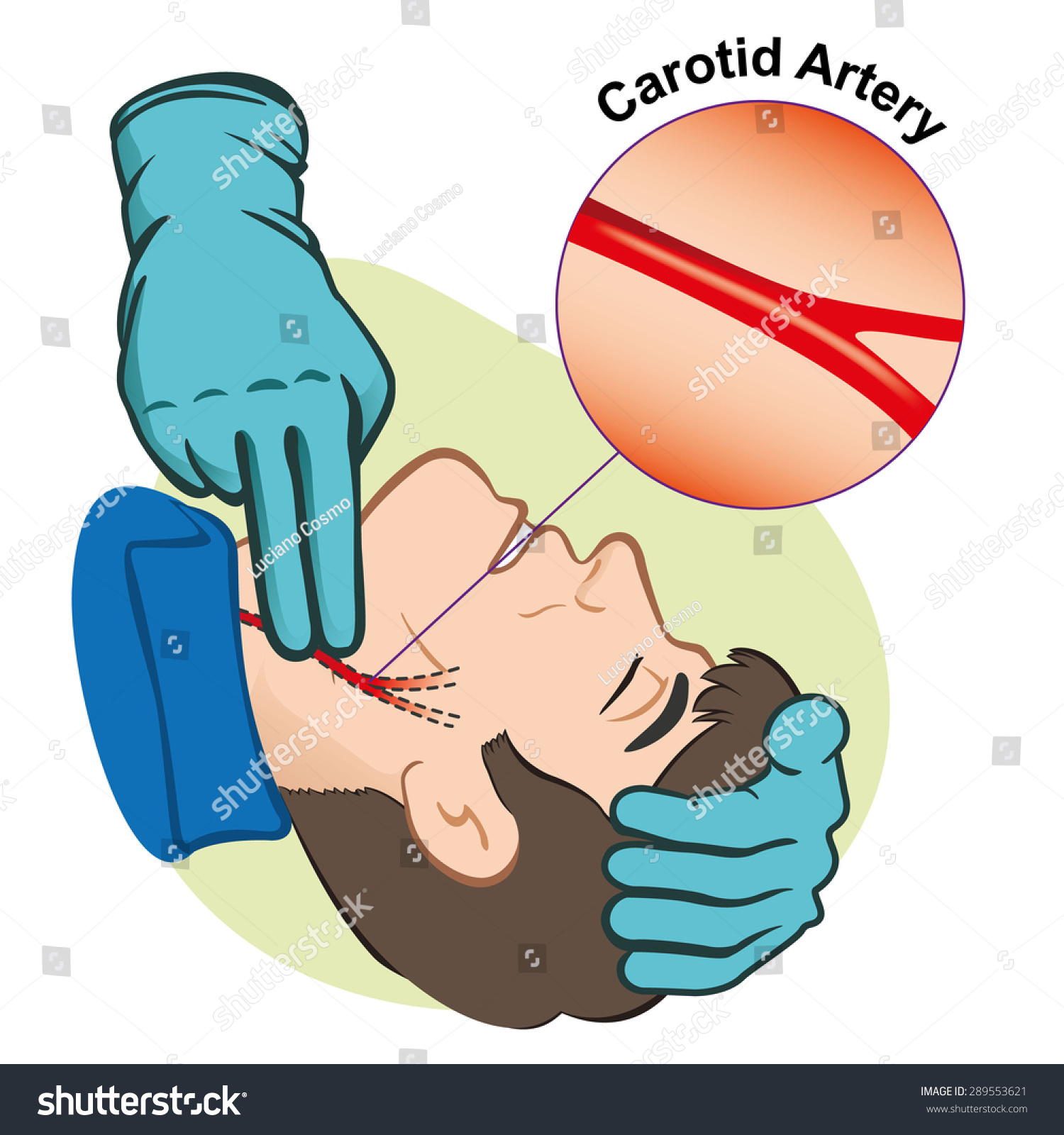 First Aid Illustration Person Measuring Pulse Stock Vector (Royalty ... First Aid Illustration Person Measuring Pulse Stock Vector (Royalty ...