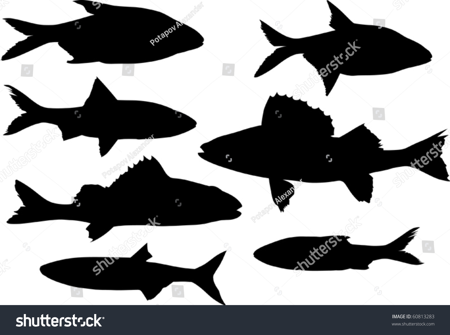 Fish Collection Isolated On White Background Stock Vector (Royalty Free ...