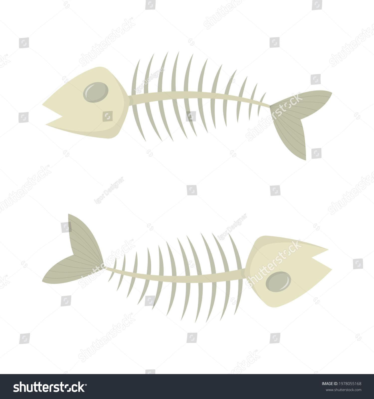 Fish Skeletons Vector Isolated On White Stock Vector (Royalty Free ...