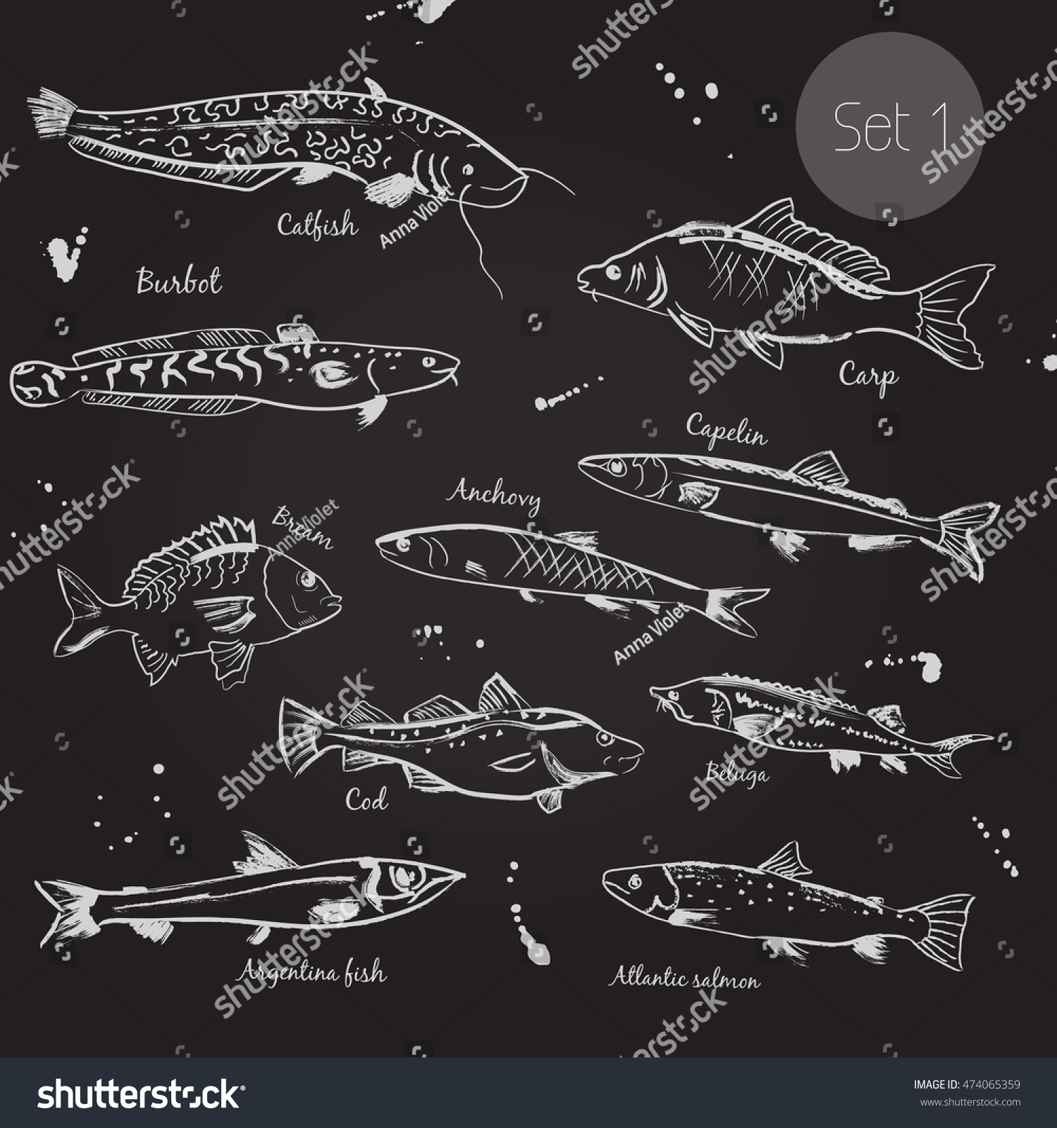 Fish Sketch Vector Isolated Illustration Set Stock Vector (Royalty Free ...