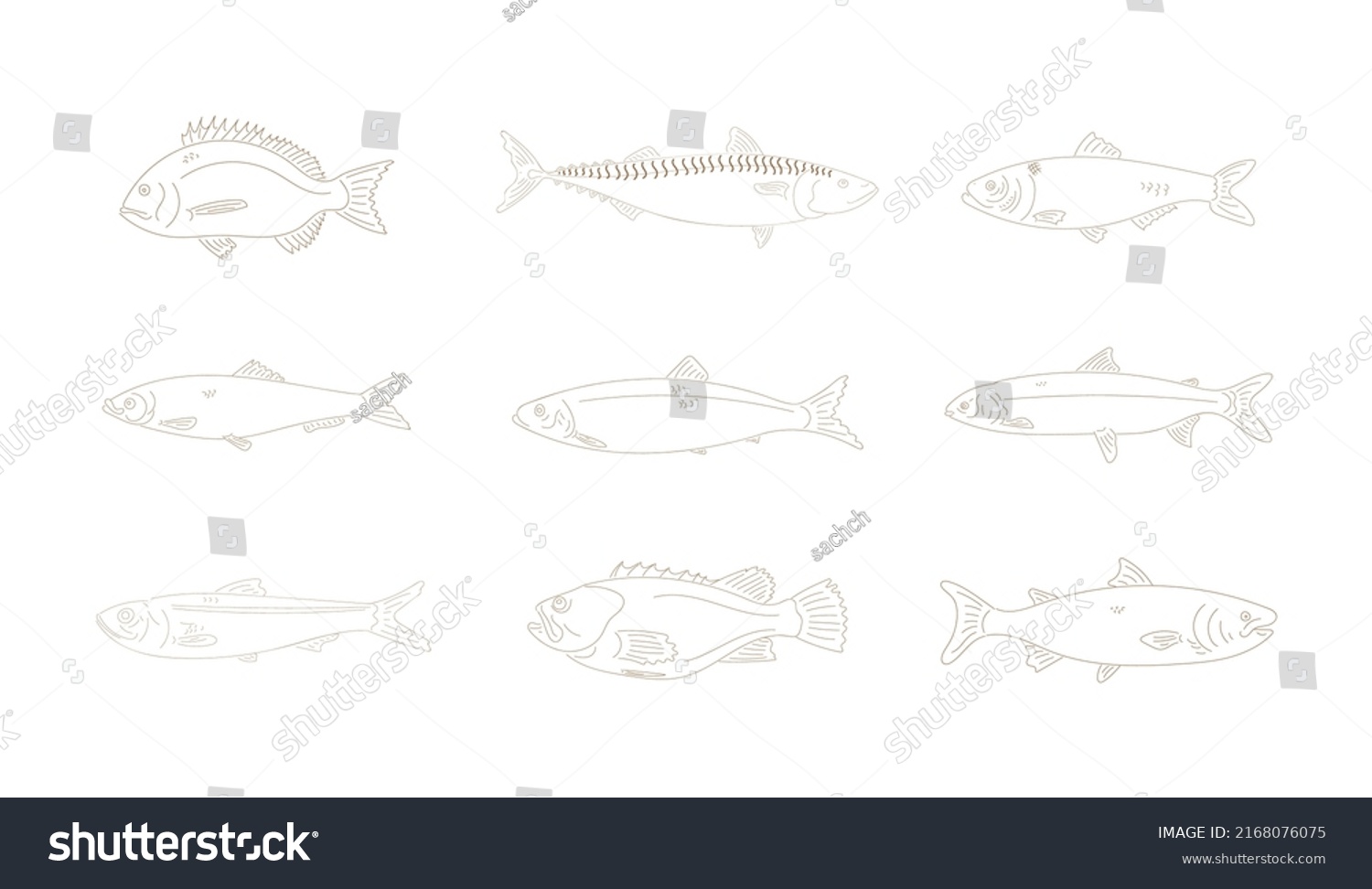 Fish Vector Sketch Illustration Set Stock Vector (Royalty Free ...