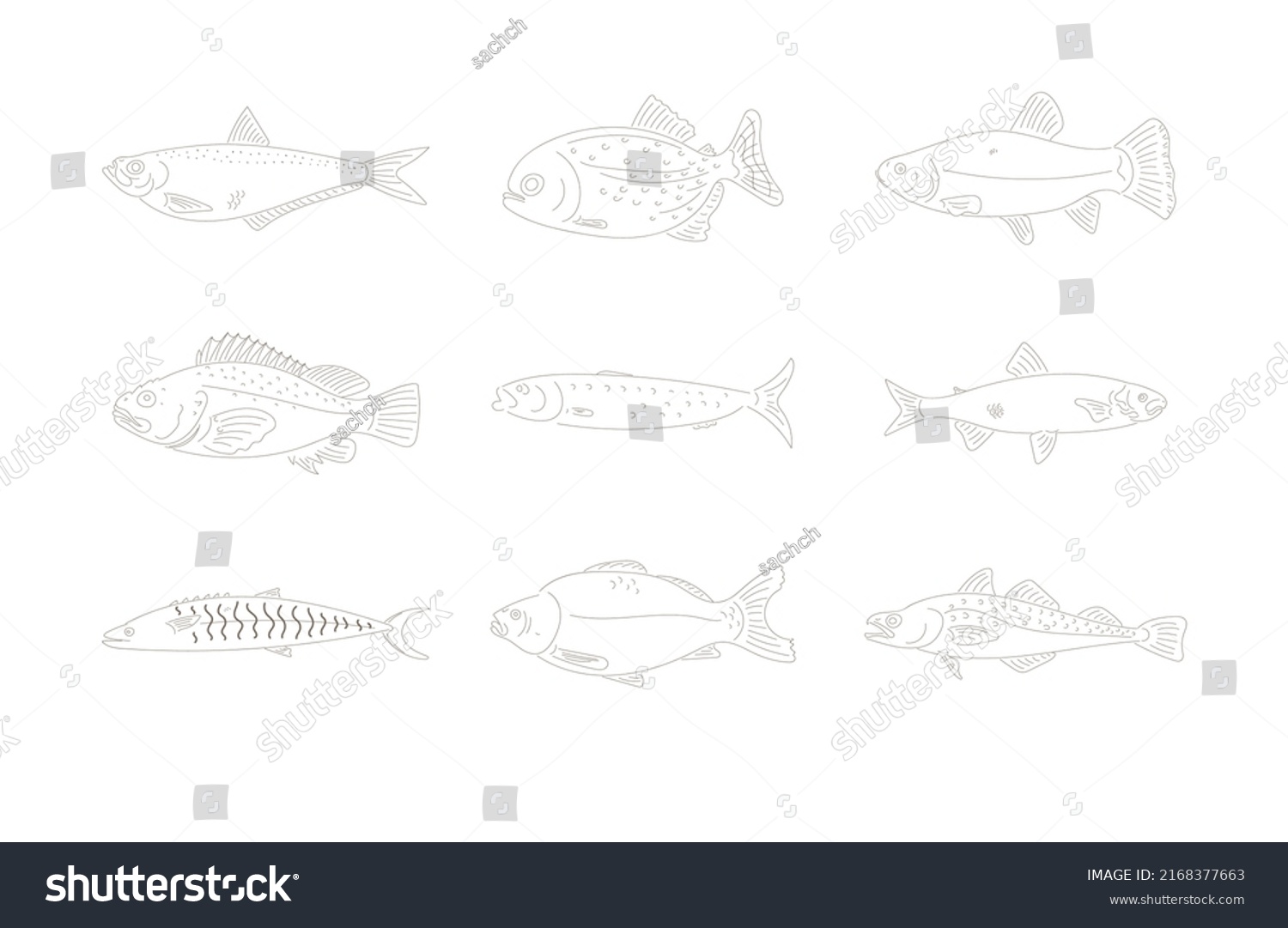 Fish Vector Sketch Illustration Set Stock Vector (Royalty Free ...