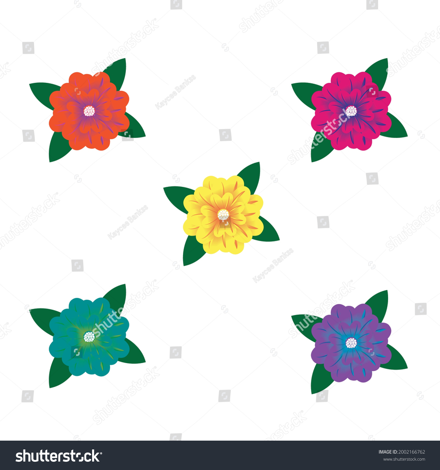 Five Colorful Flower Vector Illustration Stock Vector (Royalty Free ...