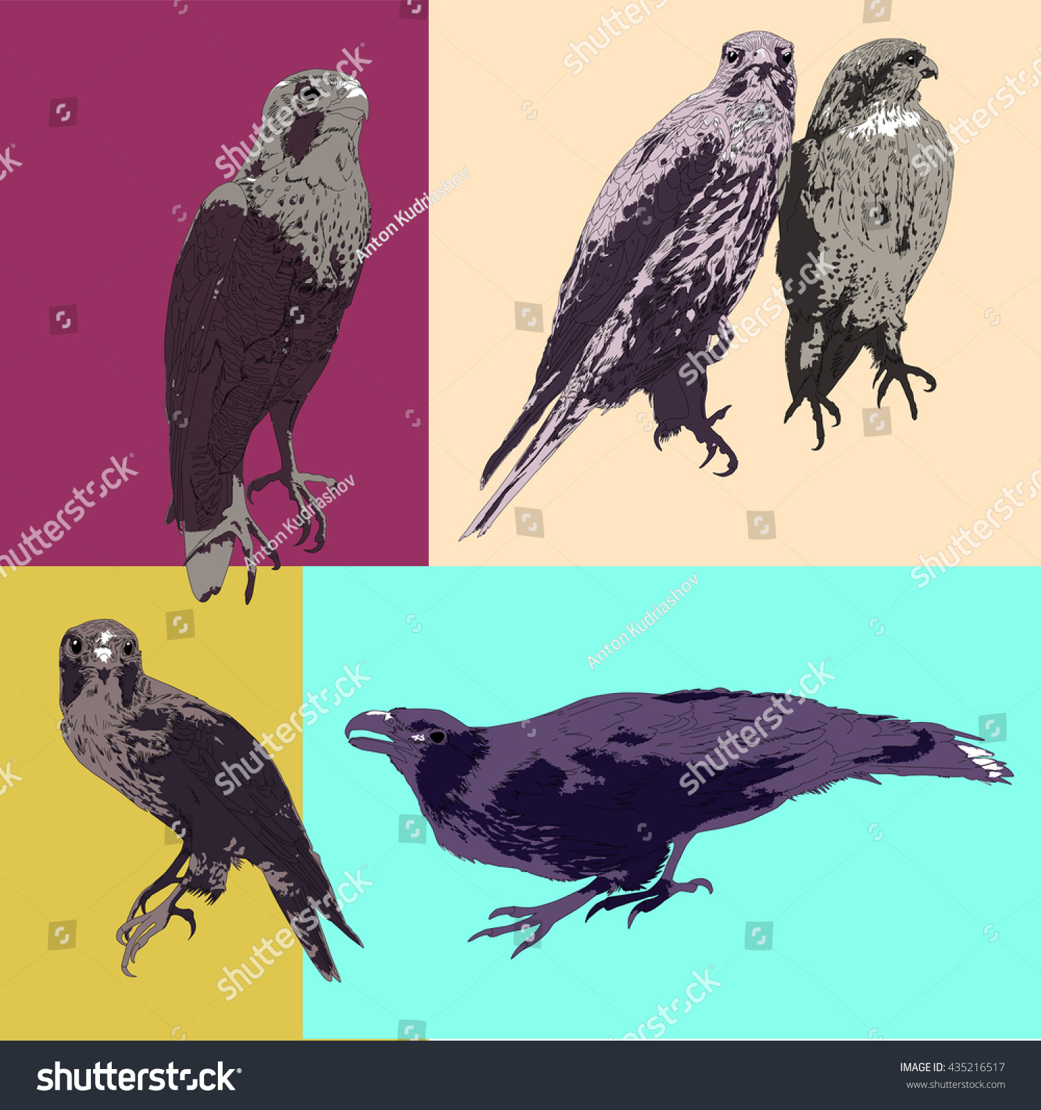 Five Drawing Vector Isolated Poly Predatory: vector de stock (libre de ...