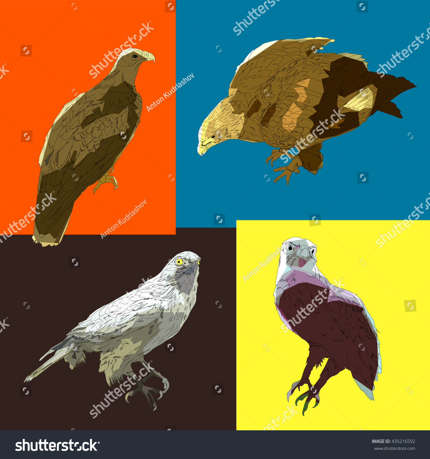 Five Drawing Vector Isolated Poly Predatory Stock Vector (Royalty Free ...