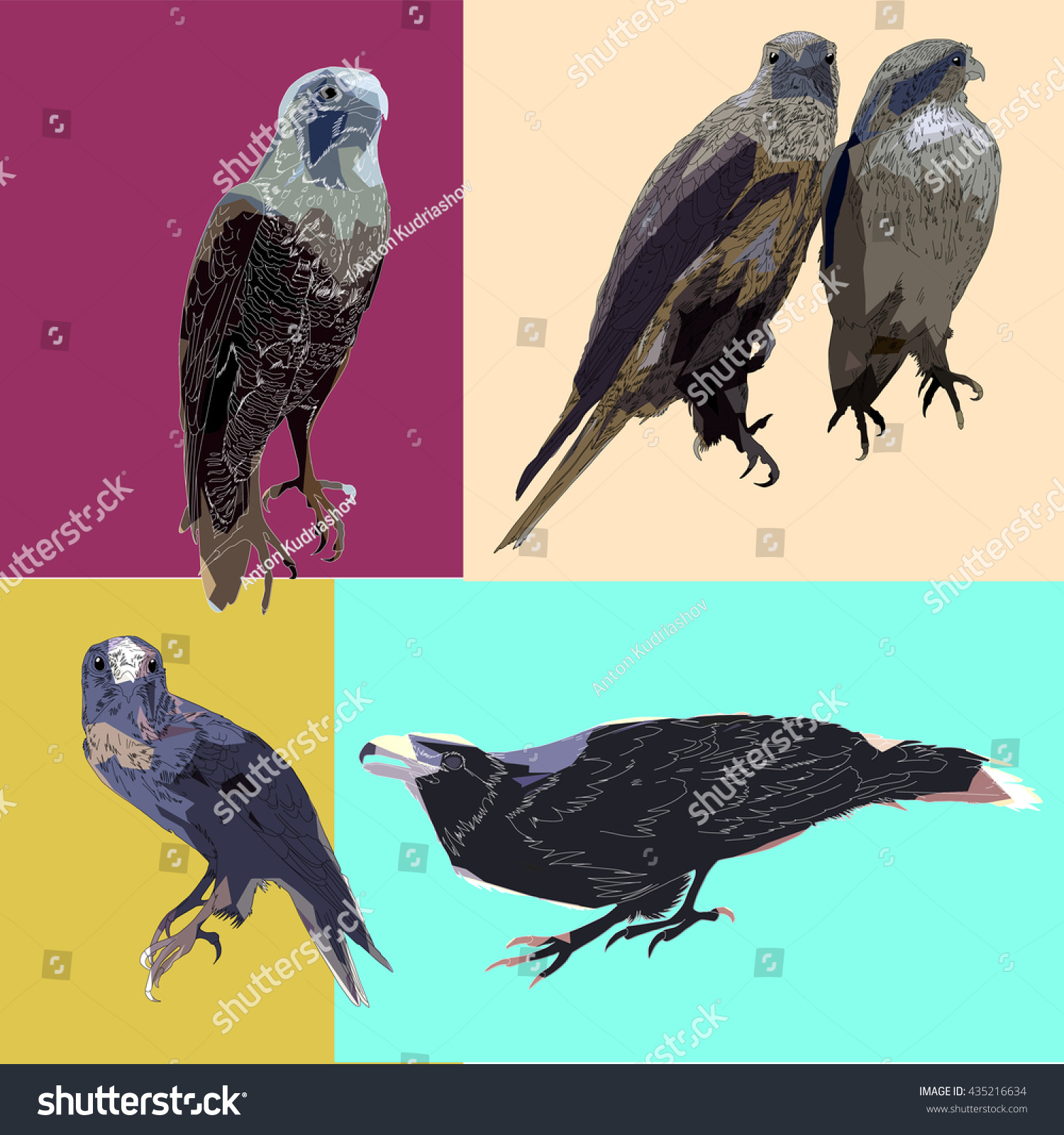 Five Drawing Vector Isolated Poly Predatory Stock Vector (Royalty Free ...