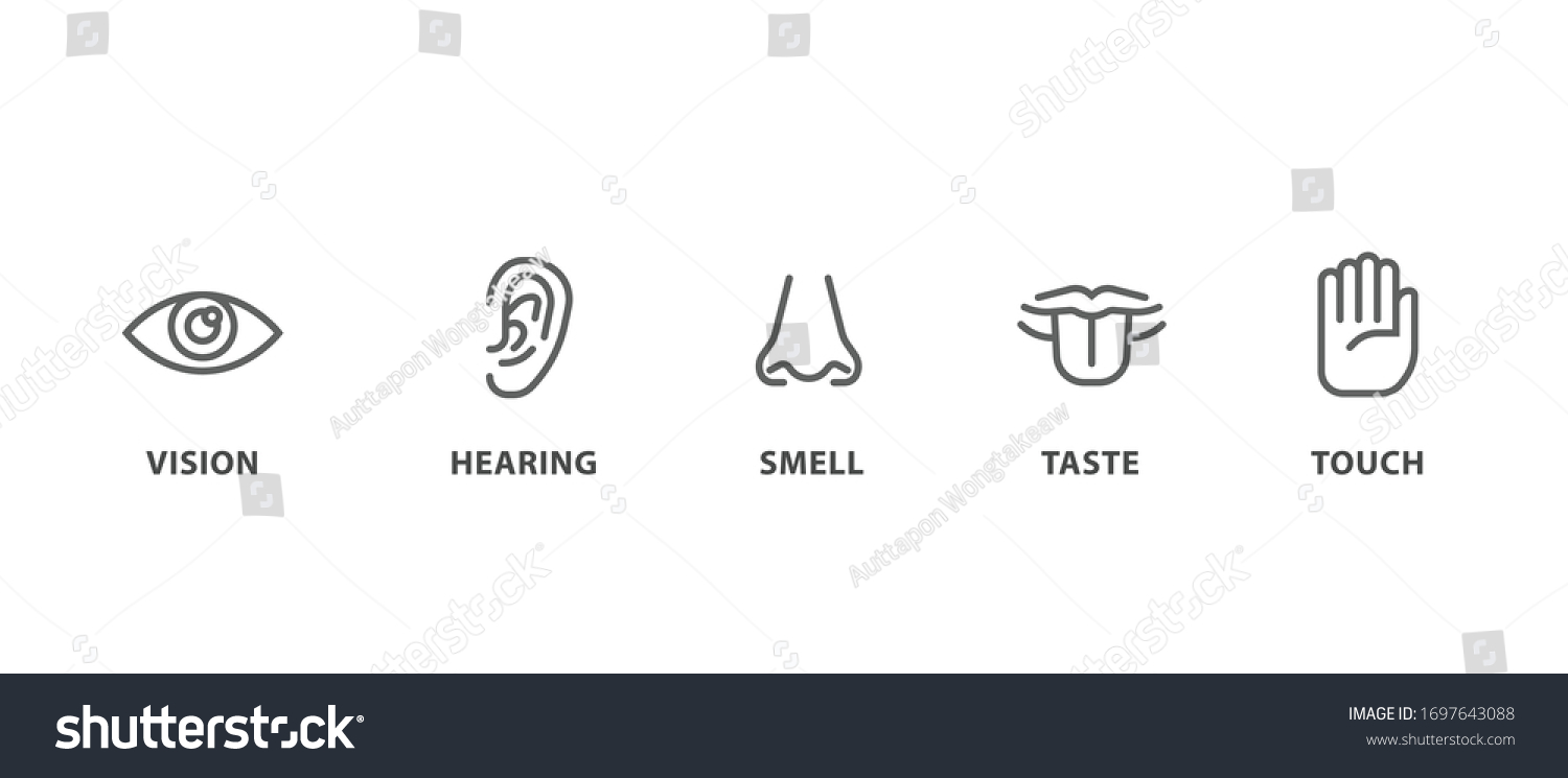 Five Human Sense Icon Set Flat Stock Vector (Royalty Free) 1697643088 ...