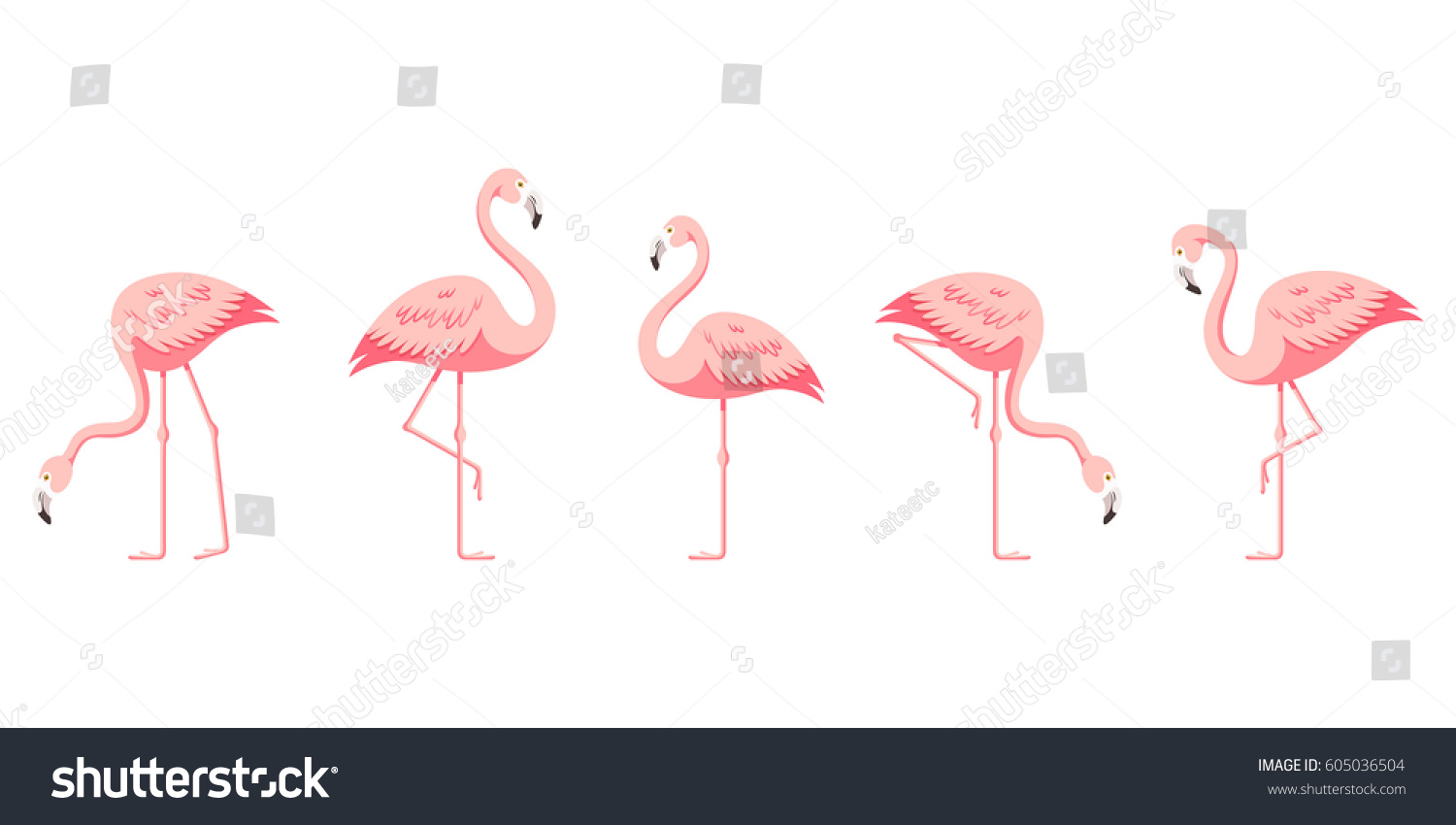 67,447 Flamingo vector Stock Vectors, Images & Vector Art | Shutterstock