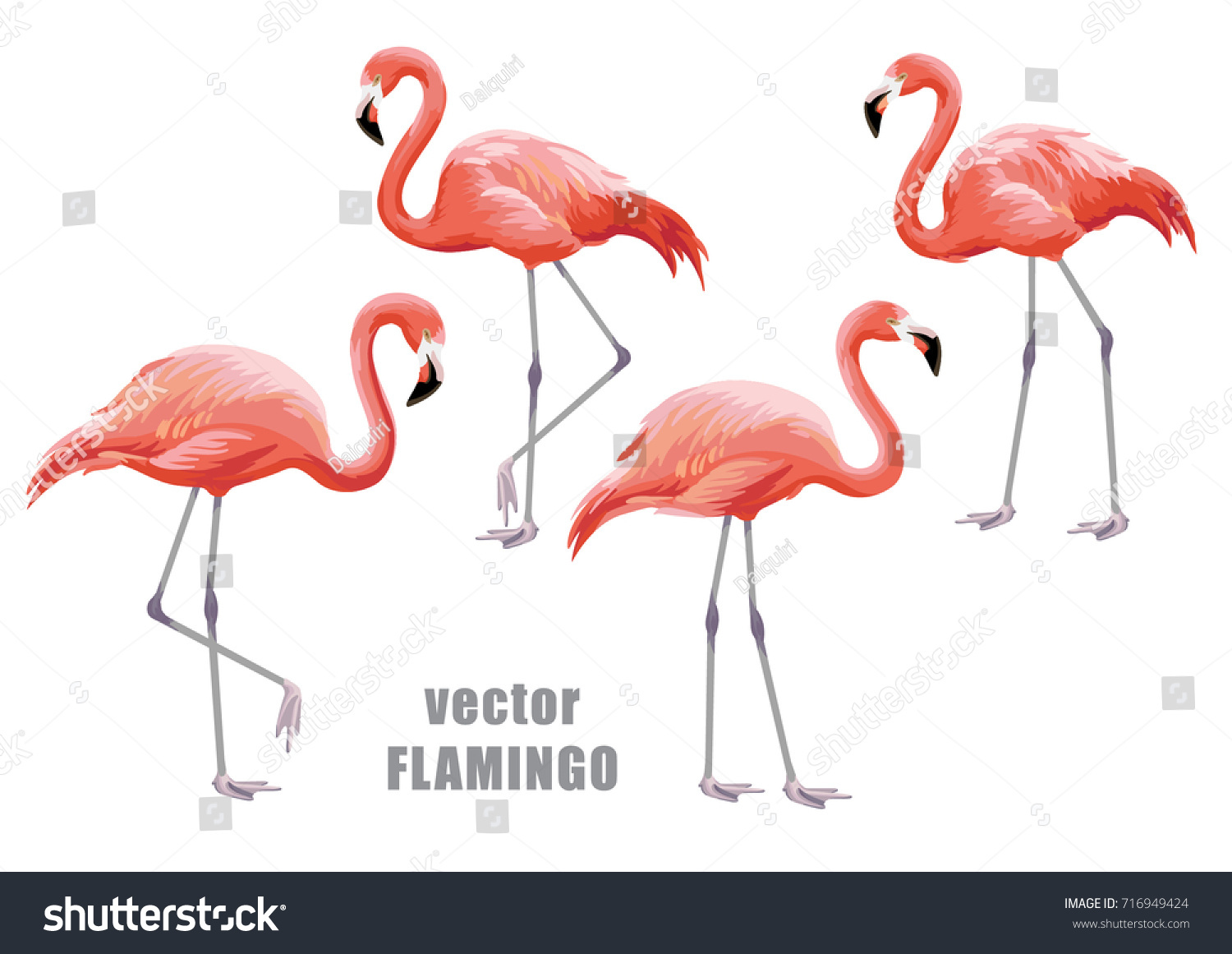 Flamingo Collection Vector Isolated Elements On Stock Vector (Royalty ...