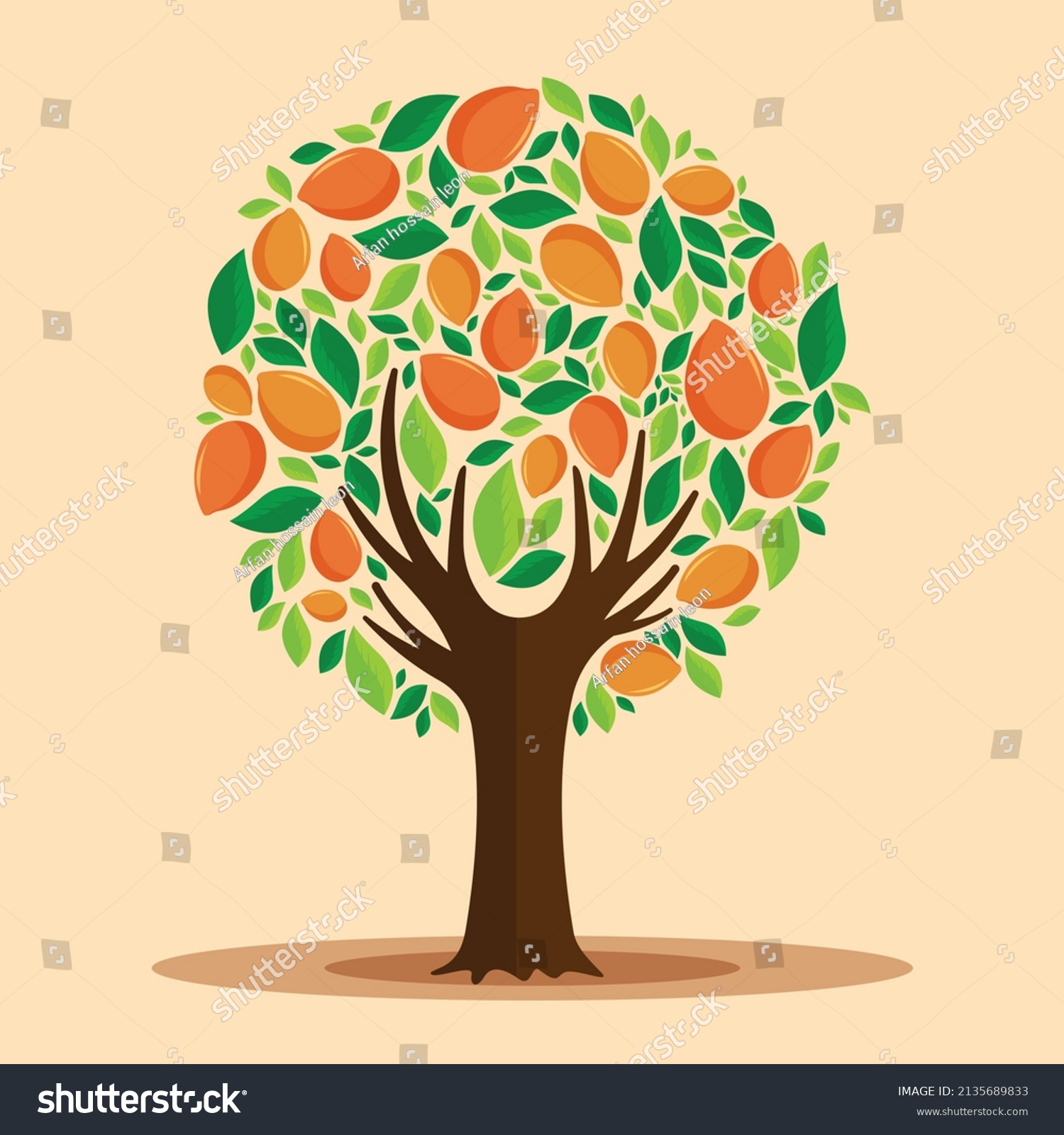 Flat Botanical Mango Tree Illustration Vector Stock Vector (Royalty ...