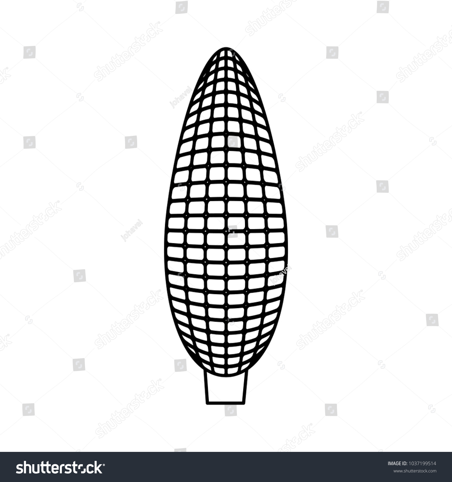 Flat Line Uncolored Corn Over White Stock Vector (Royalty Free) 1037199514