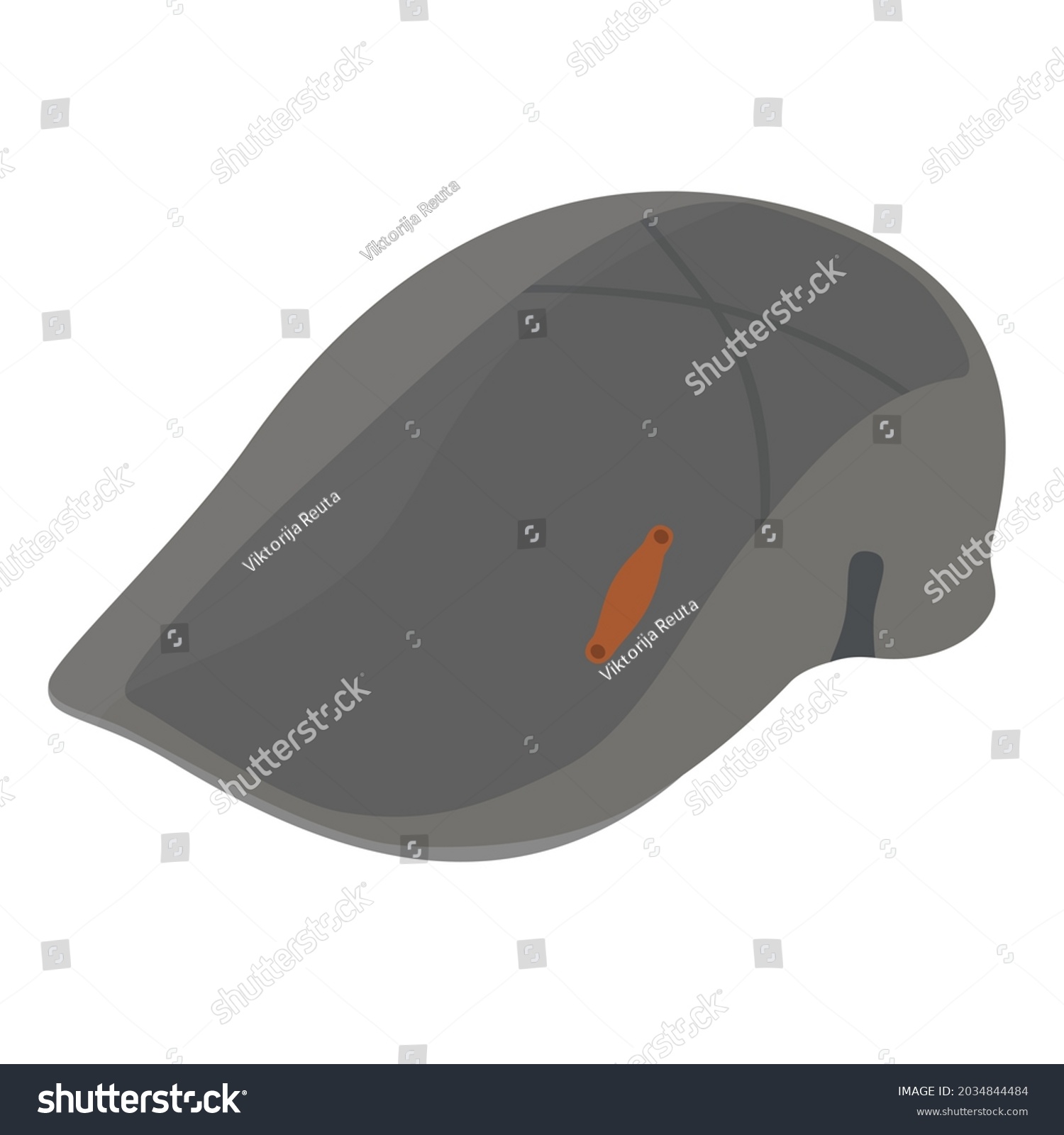 19 Scally cap Images, Stock Photos & Vectors | Shutterstock