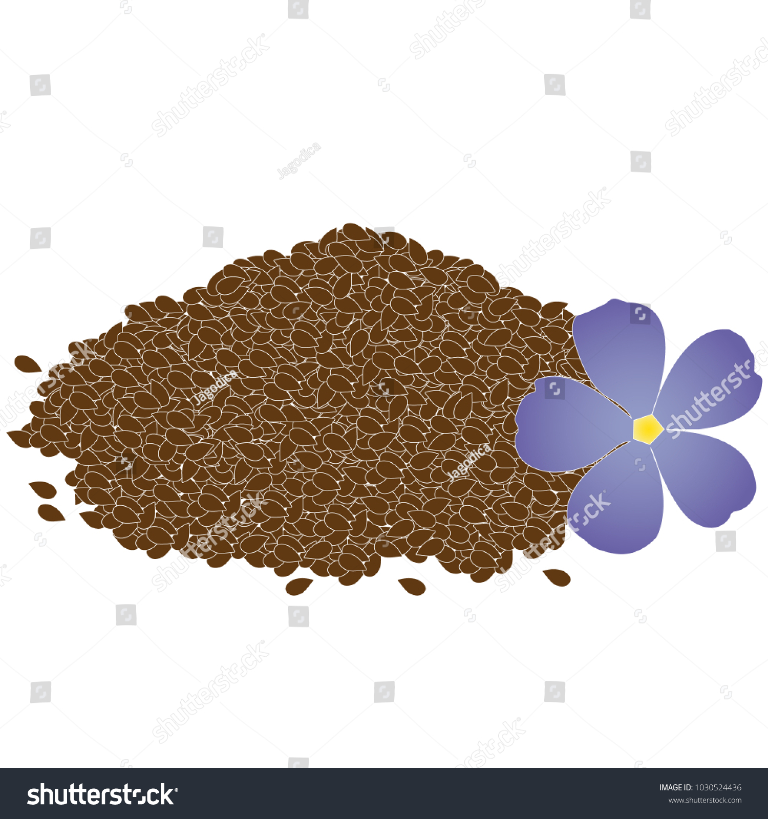 Flax Seed Flower Vector Stock Vector (Royalty Free) 1030524436