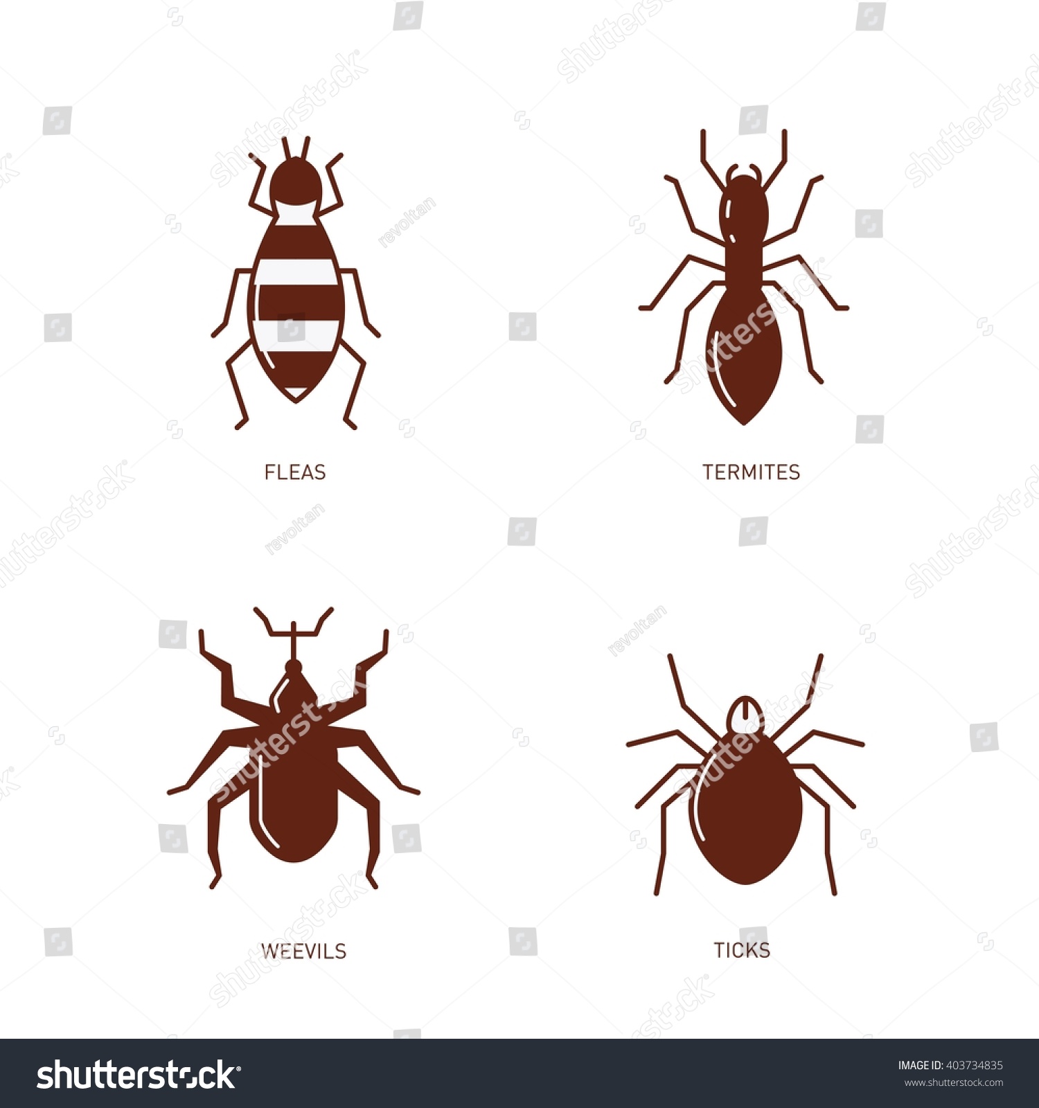 Fleas Termites Weevils Ticks Simple Vector Stock Vector 403734835 ...
