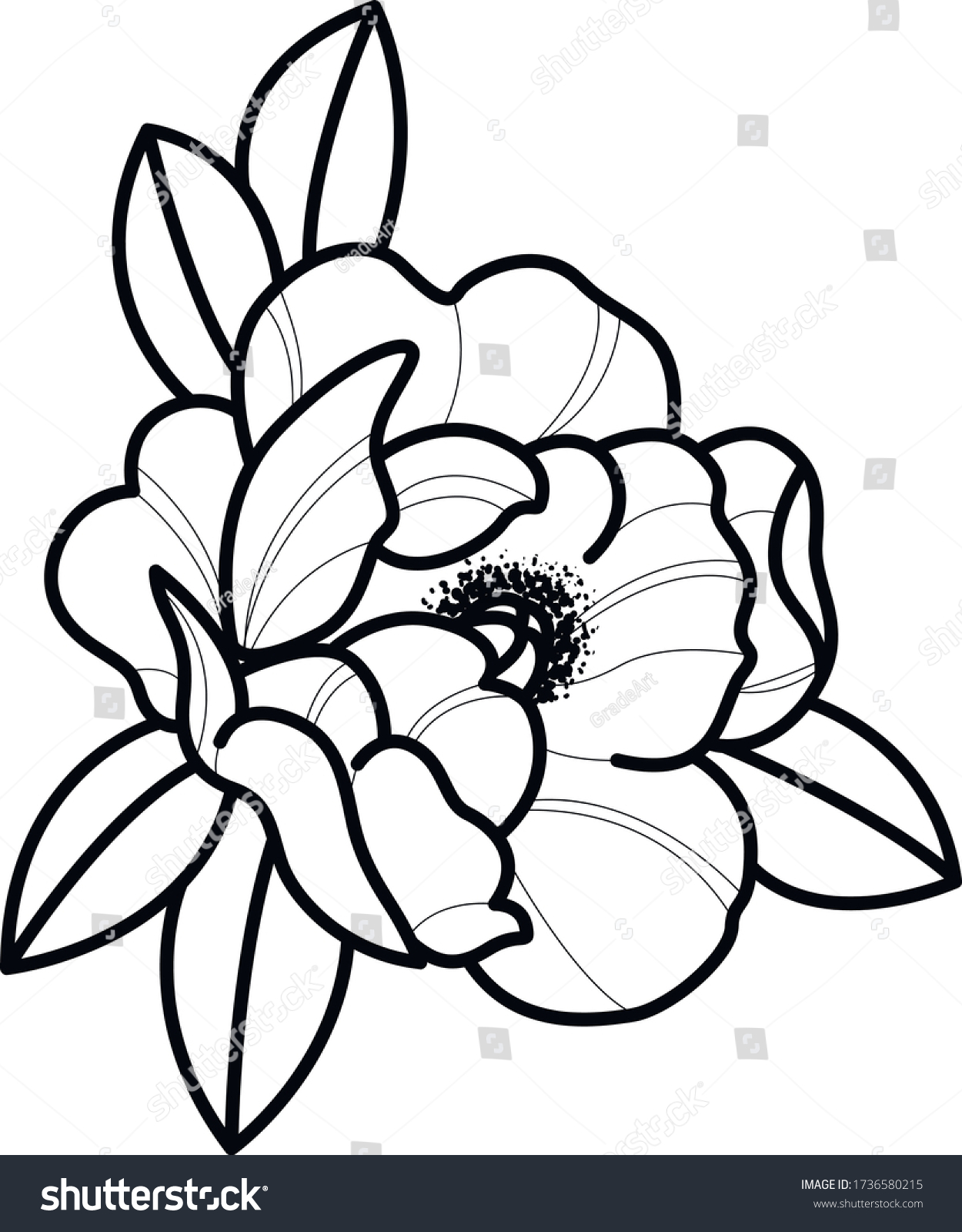 Flower Art Line Work Vector Stock Vector (Royalty Free) 1736580215 ...