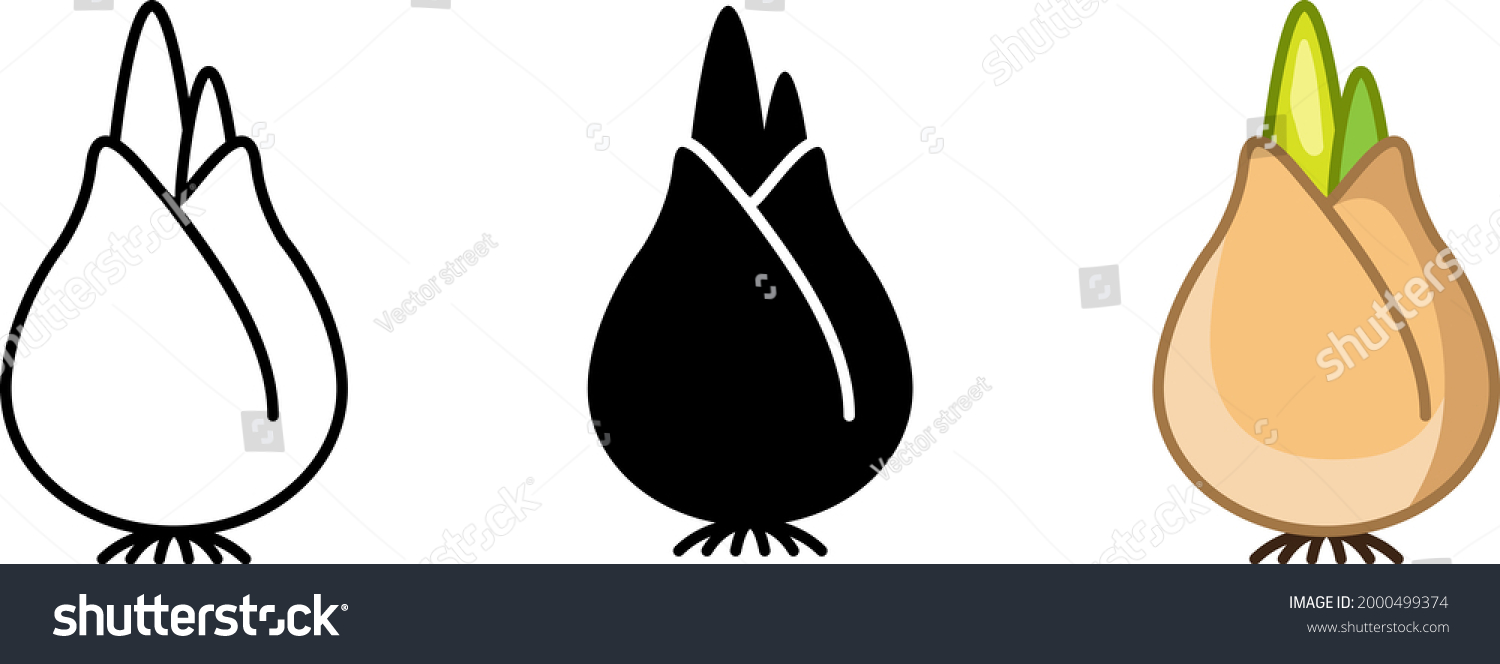 Flower Bulbs Icon Vector Stock Vector (Royalty Free) 2000499374 ...