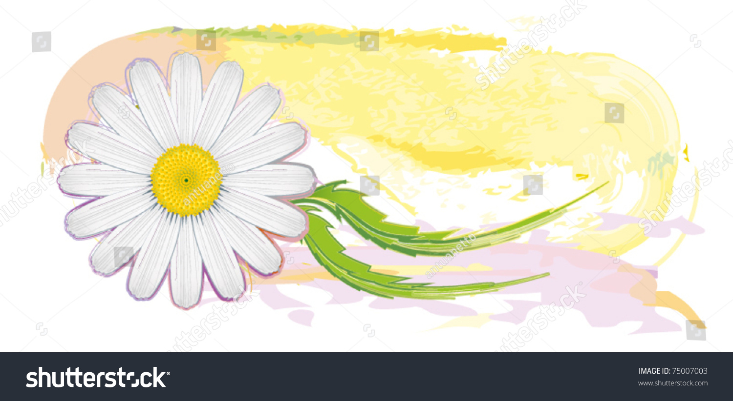 Flower Daisy Vector Illustration Stock Vector (Royalty Free) 75007003 ...