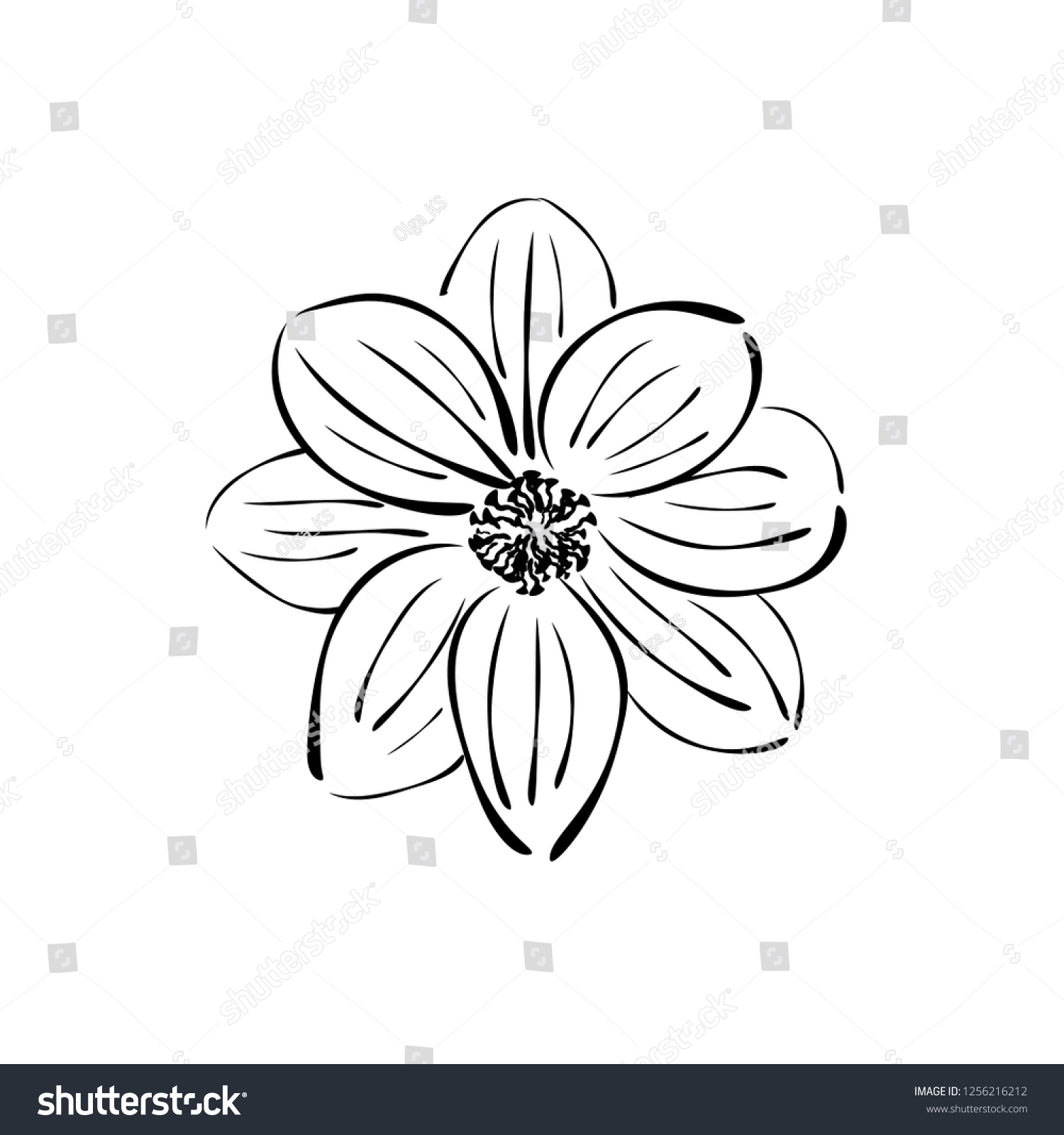 Flower Ink Drawing Vector Stock Vector (Royalty Free) 1256216212 ...
