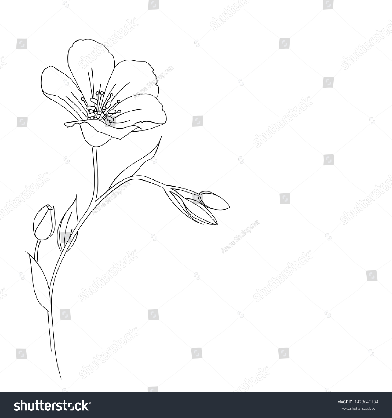 Flower Line Drawing Vector Illustration Stock Vector (Royalty Free ...