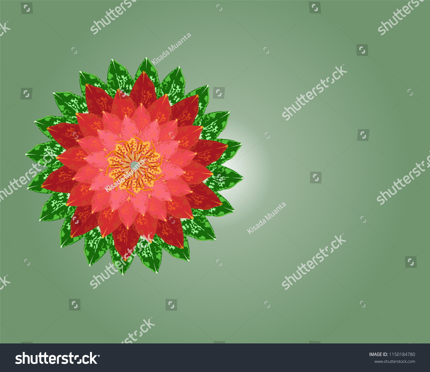 Flower Mix Rotate Vector Stock Vector (Royalty Free) 1150184780 ...