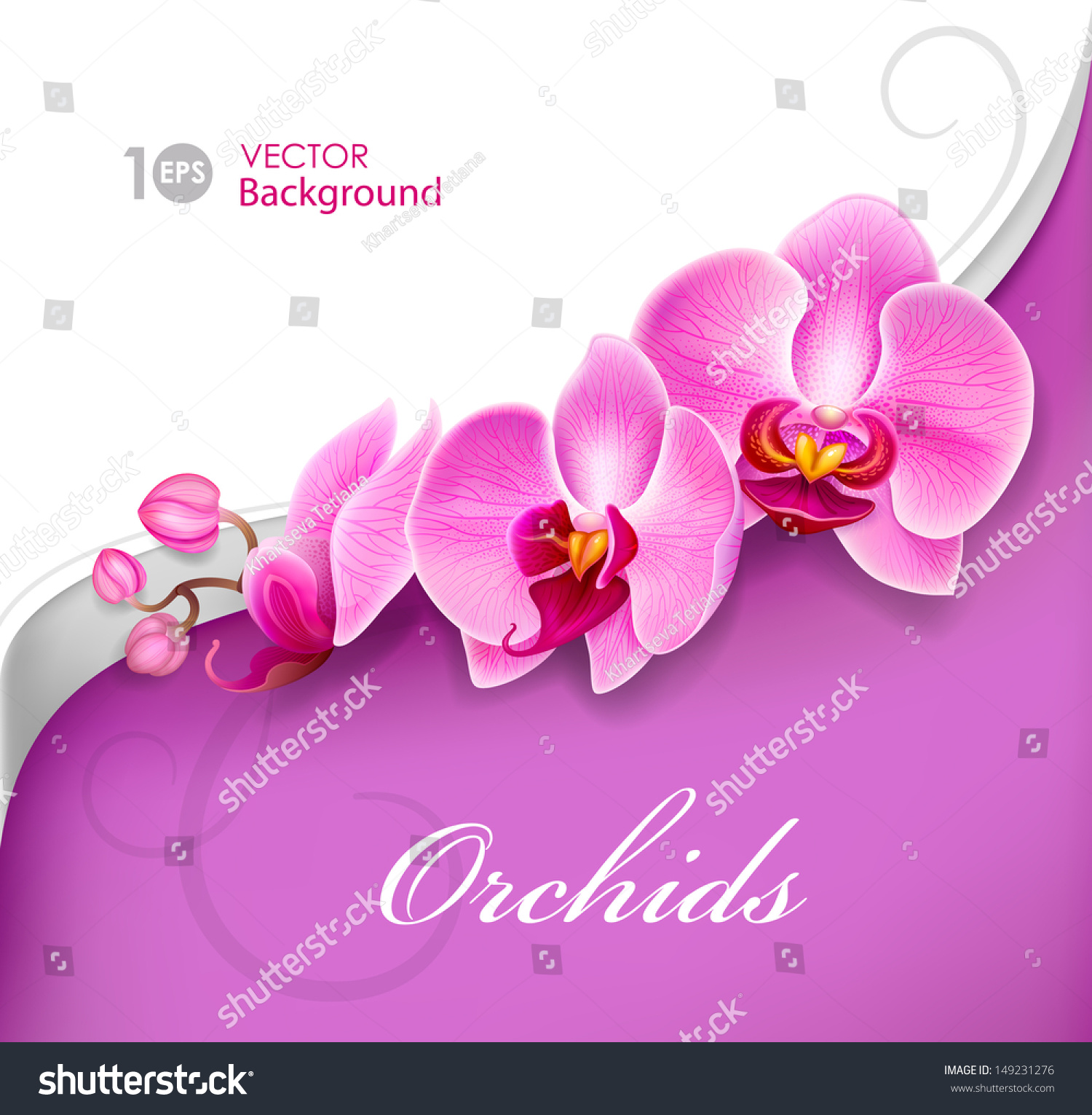 Flower Orchid Vector Eps 10 Stock Vector 149231276 - Shutterstock