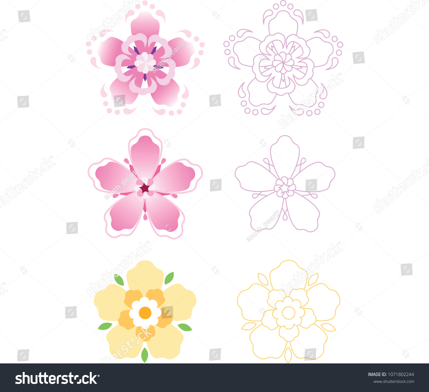 Flower Patterns Lines Sakura Vector Flower Stock Vector (Royalty Free ...