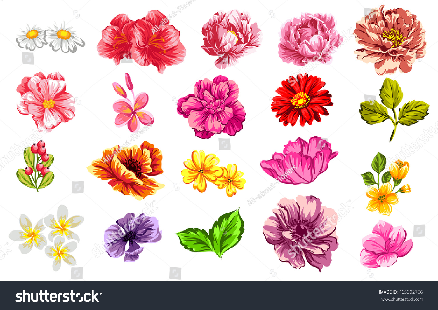 1,181,926 Flowers isolated graphic Stock Vectors, Images & Vector Art ...