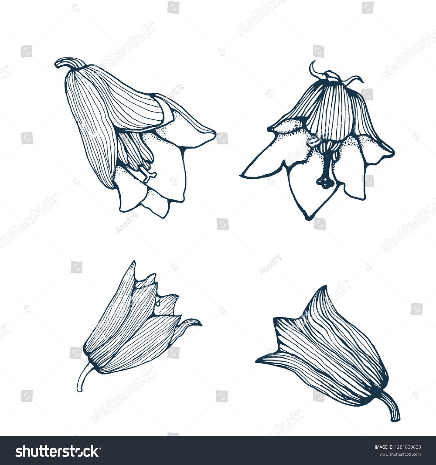 Flowers Bells Set Hand Drawing Vector: vector de stock (libre de ...