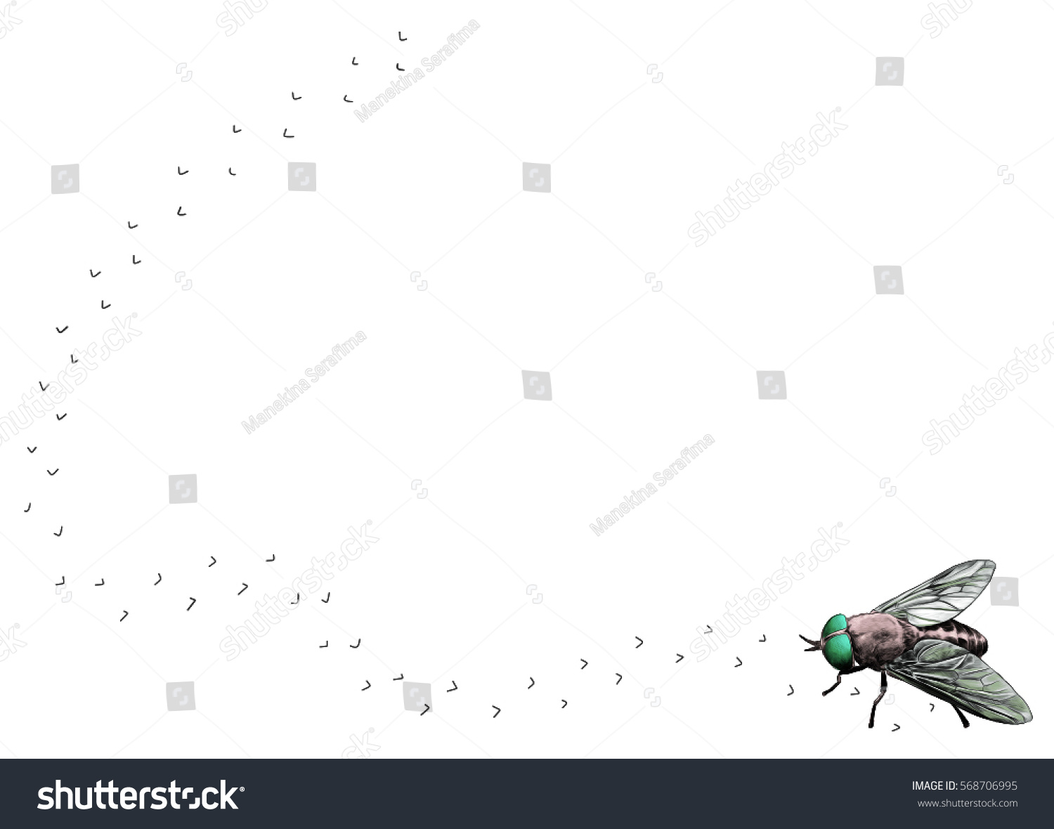 Fly Footprints Vector Stock Vector (Royalty Free) 568706995