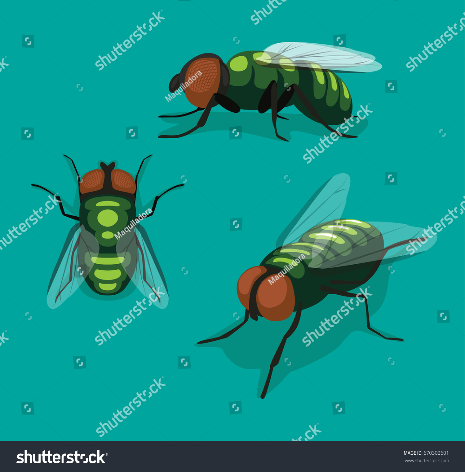 Fly Insect Cartoon Vector Illustration Stock Vector (Royalty Free ...