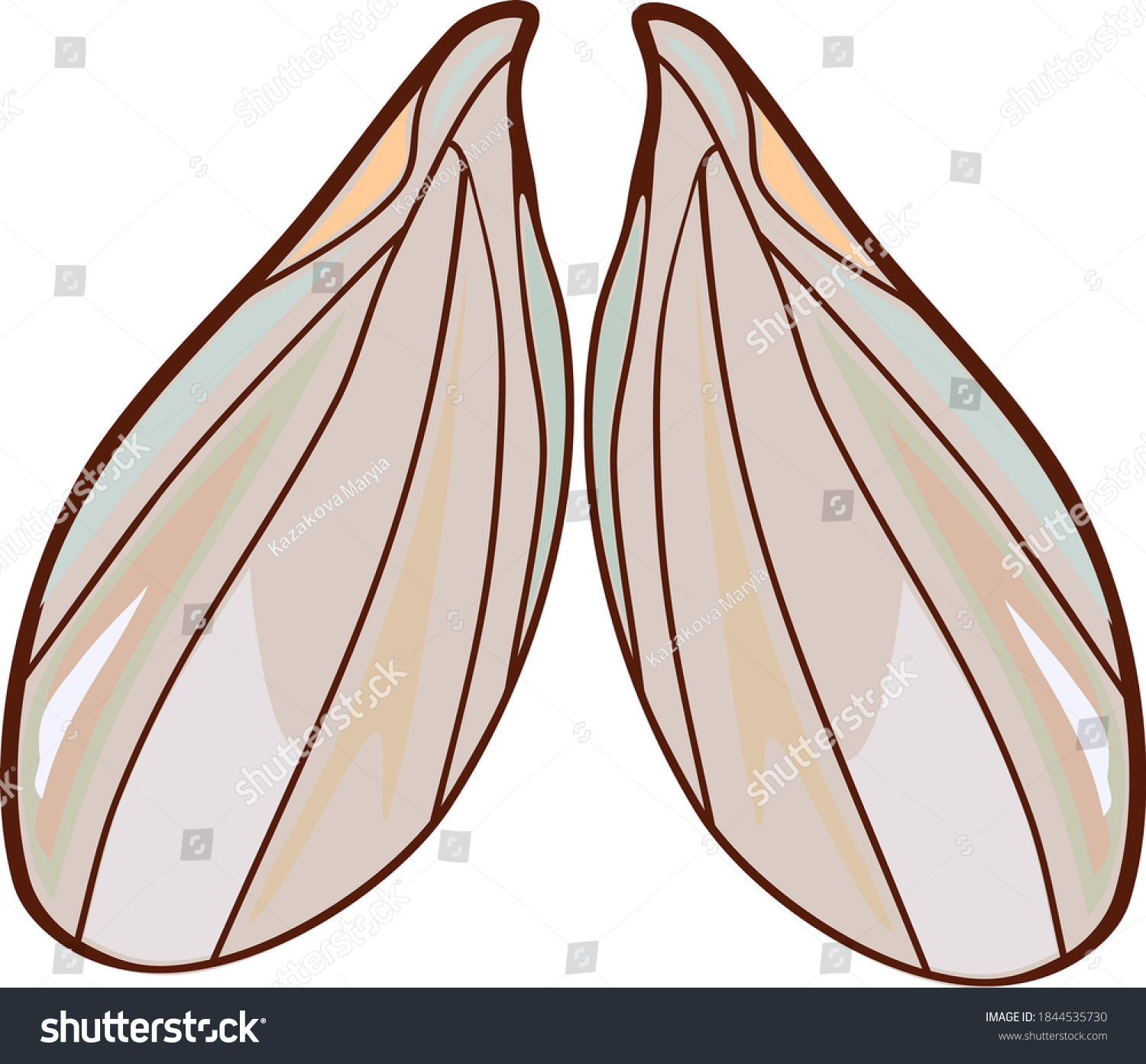 Fly Wings Isolated On White Background Stock Vector (Royalty Free ...