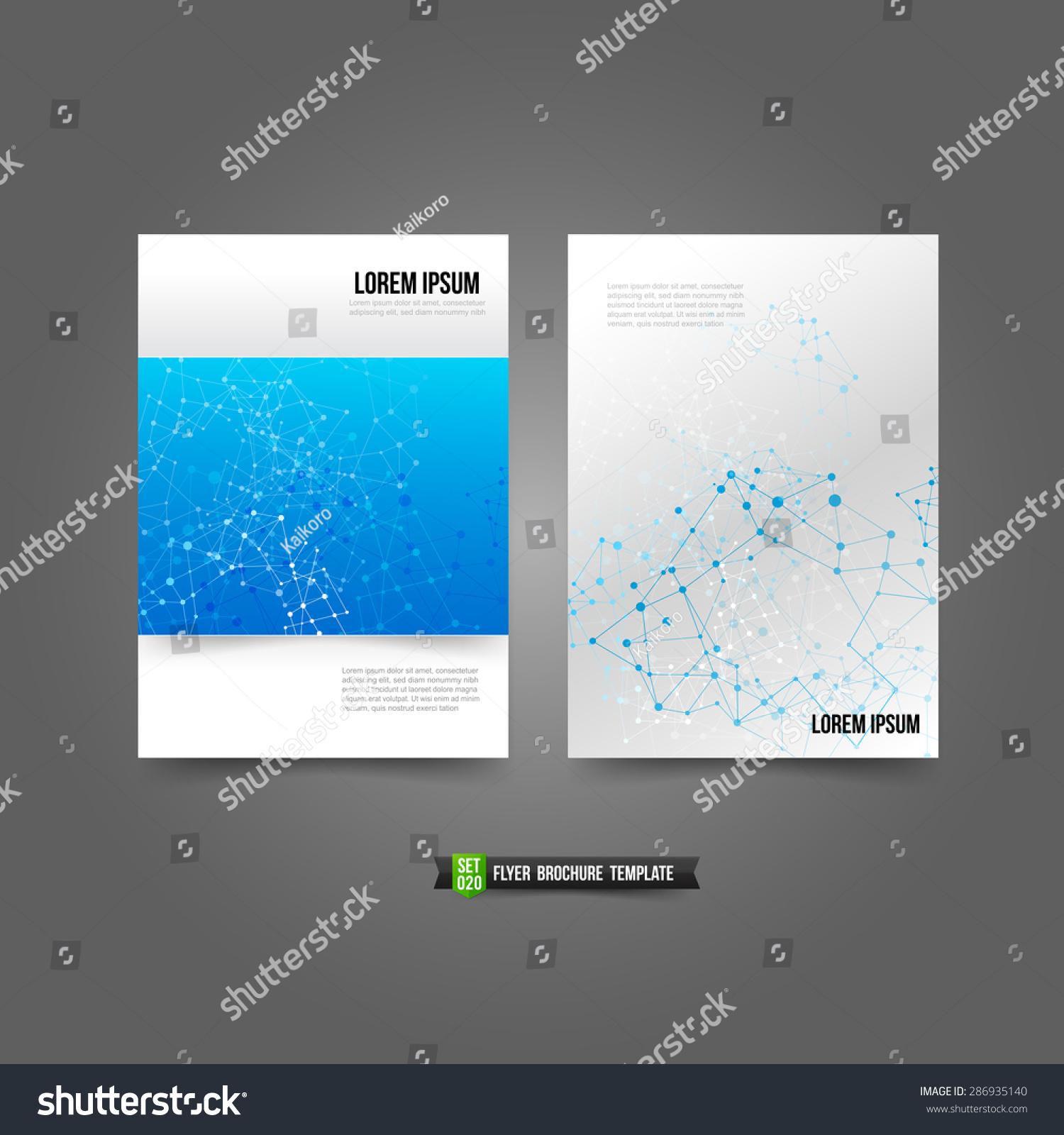 Flyer Brochure Background Templated Network Connection Stock Vector ...