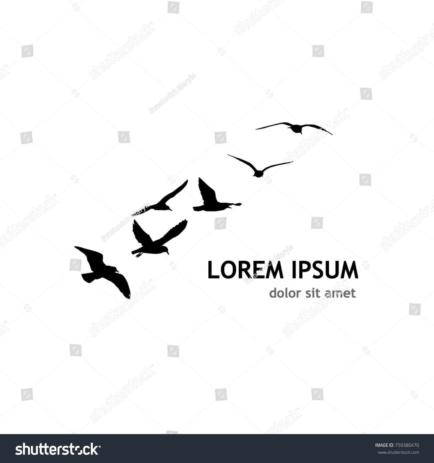 102,131 Shadow bird Images, Stock Photos & Vectors | Shutterstock