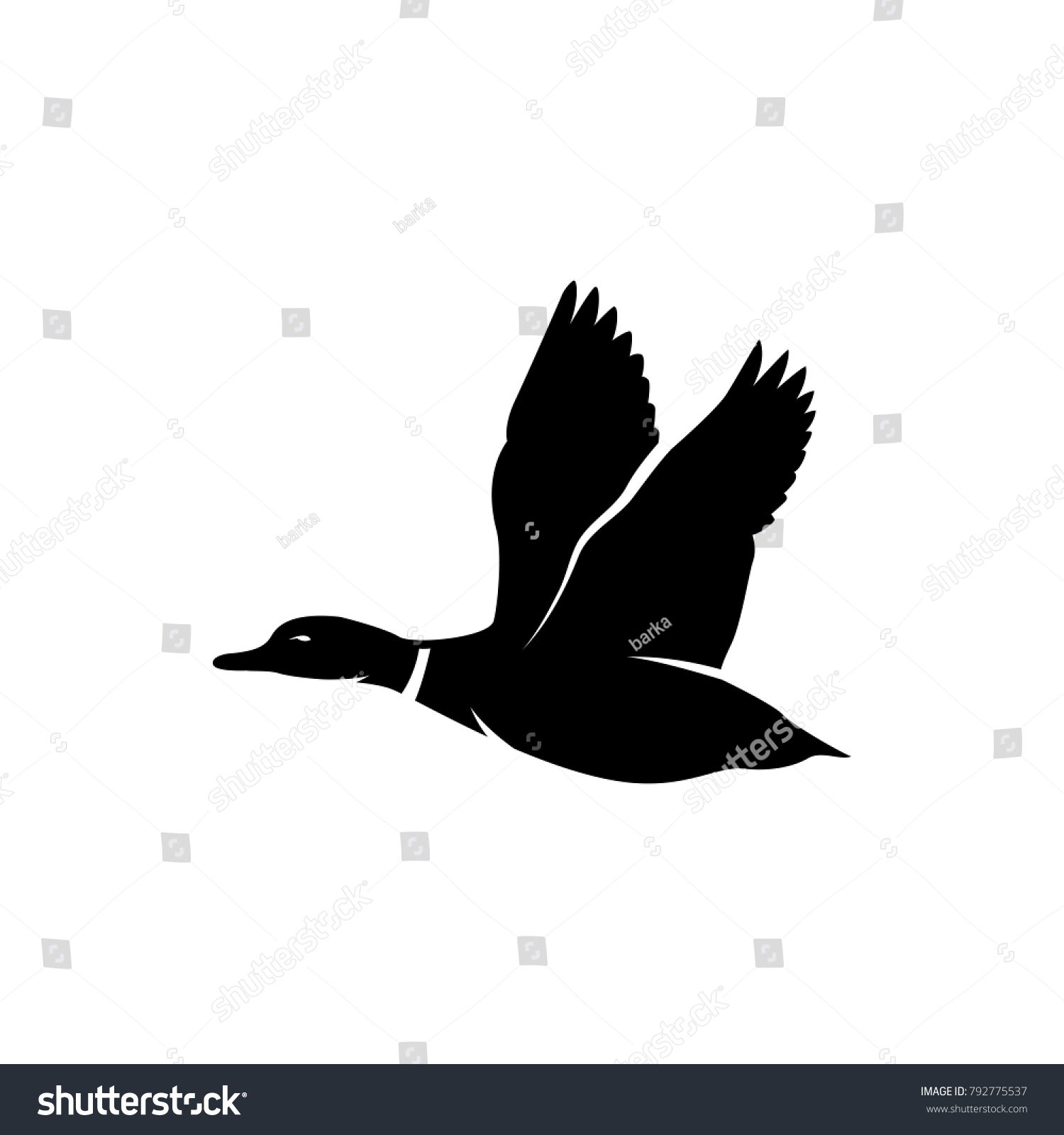 141 Loon cartoon Images, Stock Photos & Vectors | Shutterstock
