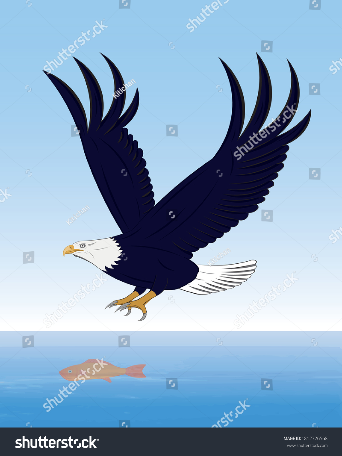 Flying Eagle Bald Eagle Catching Fish: stockvector (rechtenvrij ...