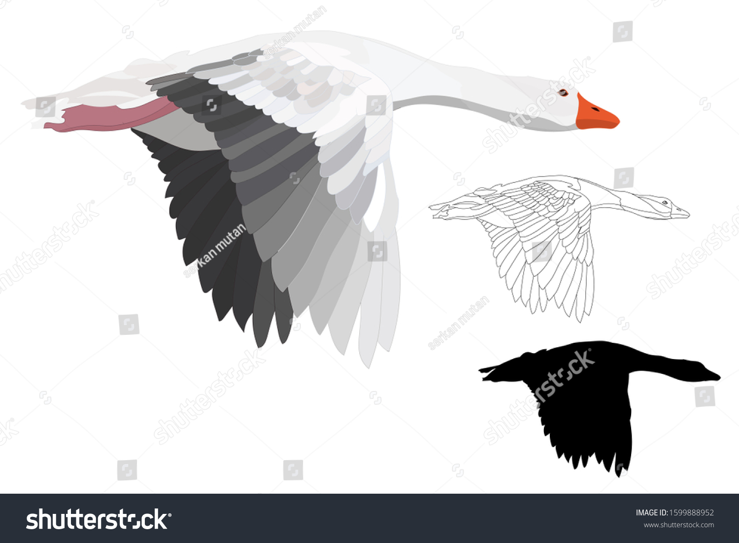 Flying Goose Vector Image White Background: vector de stock (libre de ...