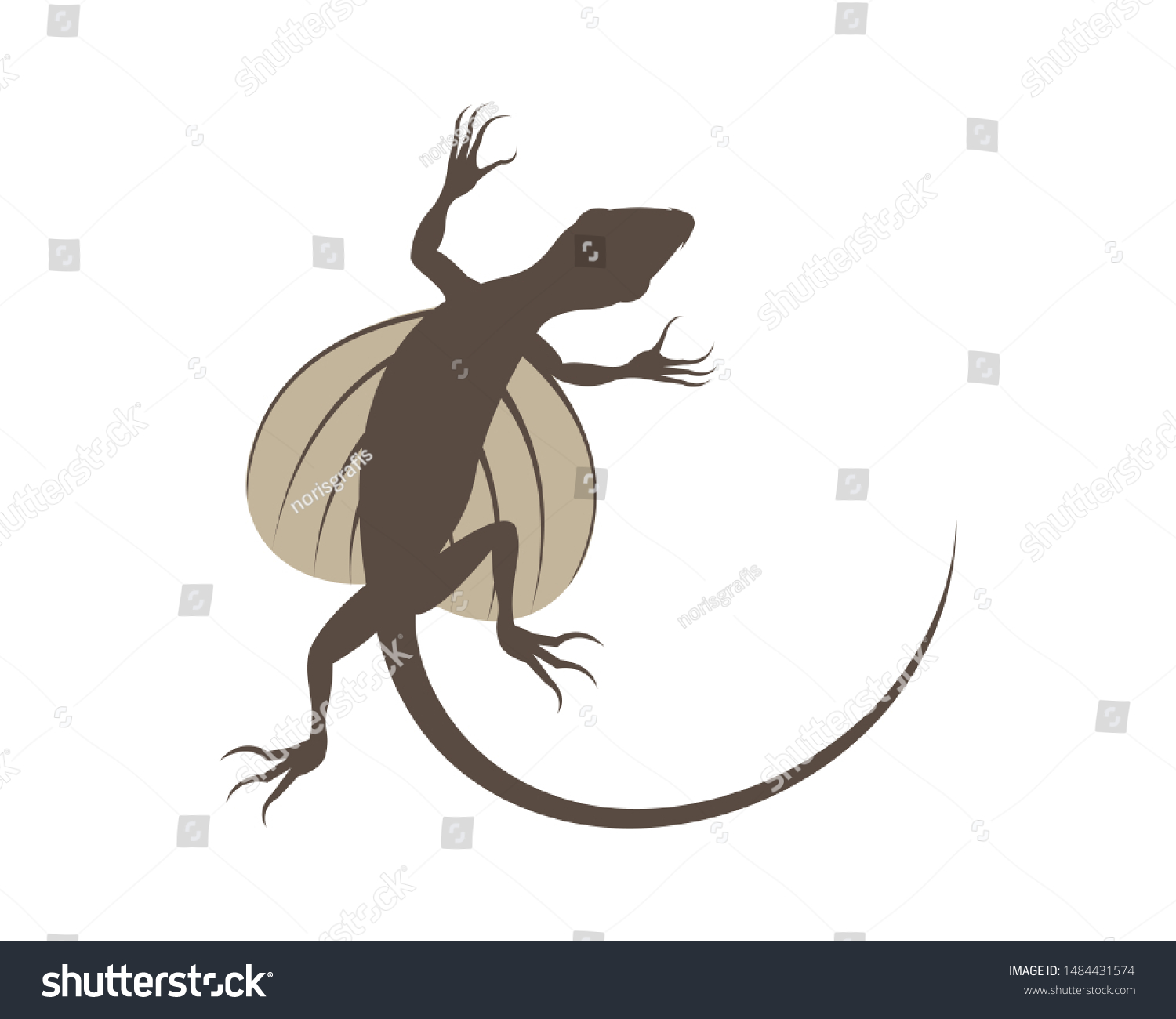 Flying Lizard Draco Volans Silhouette Stock Vector (Royalty Free ...