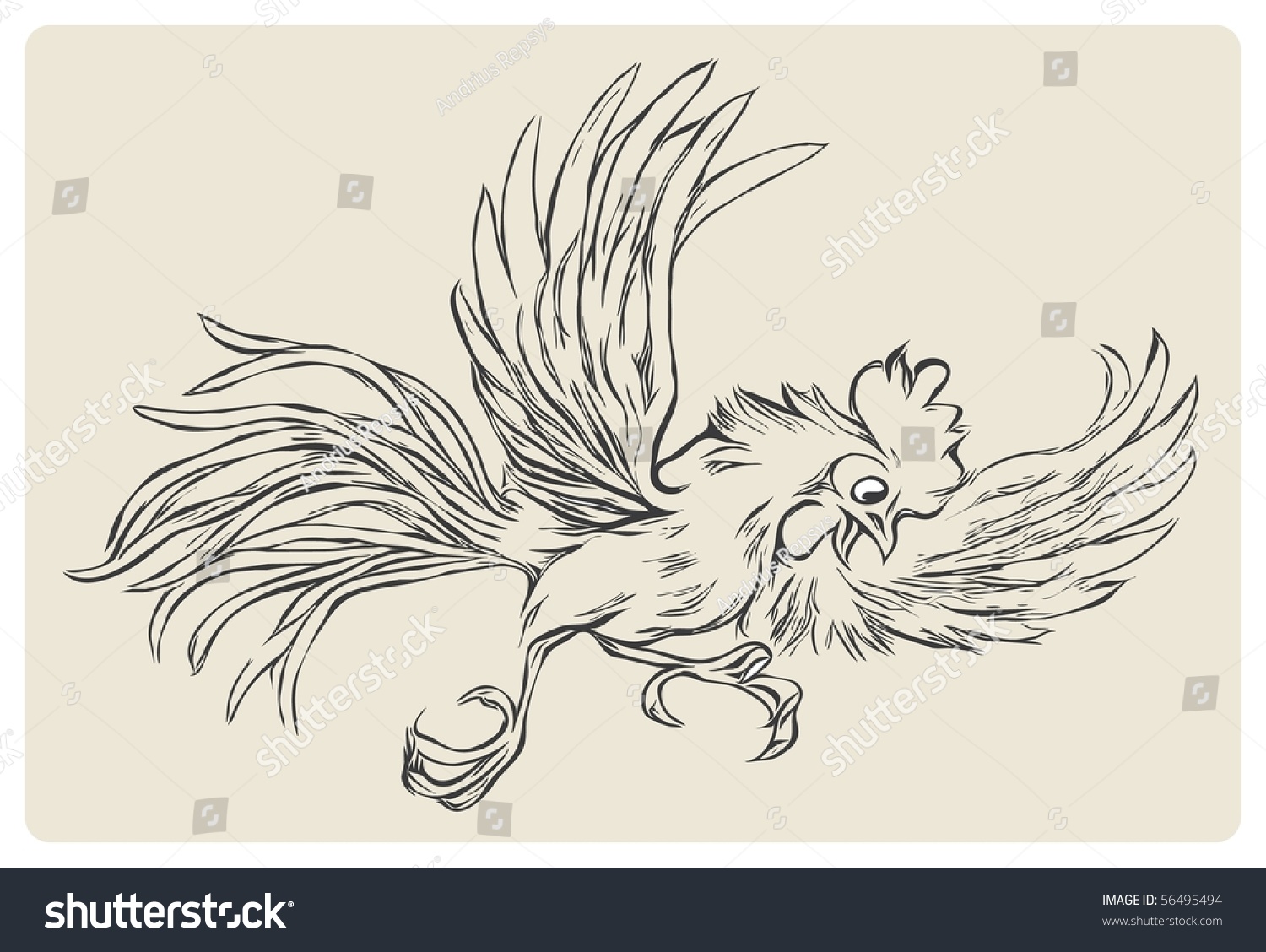 Flying Rooster Stock Vector Illustration 56495494 : Shutterstock